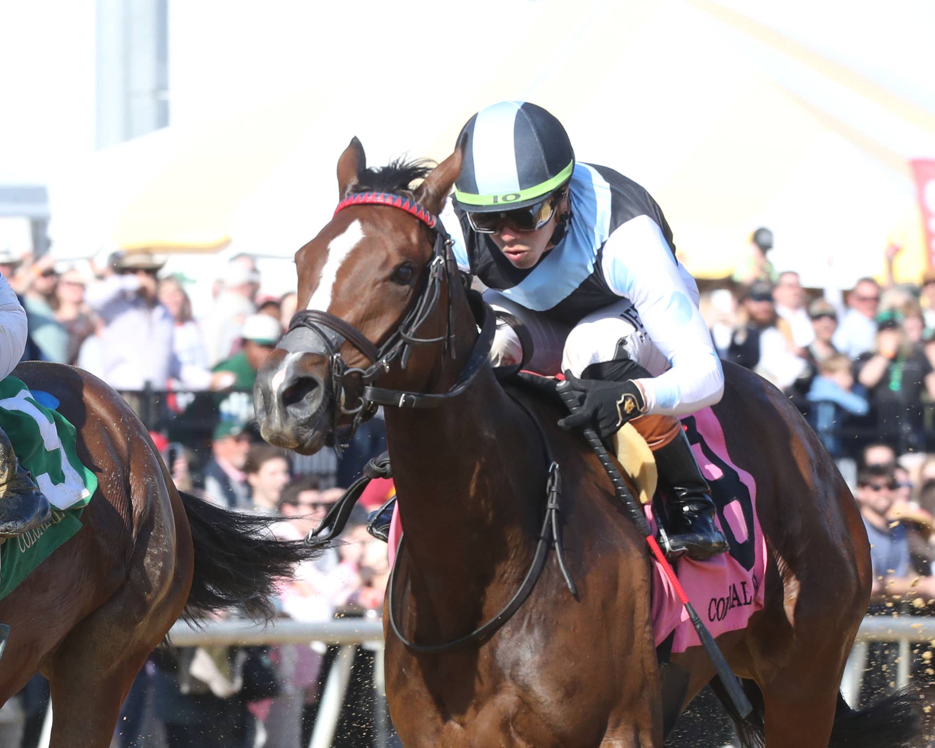 'My Filly Stepped Up': Fondly Goes From Debut Winner To Virginia Oaks ...
