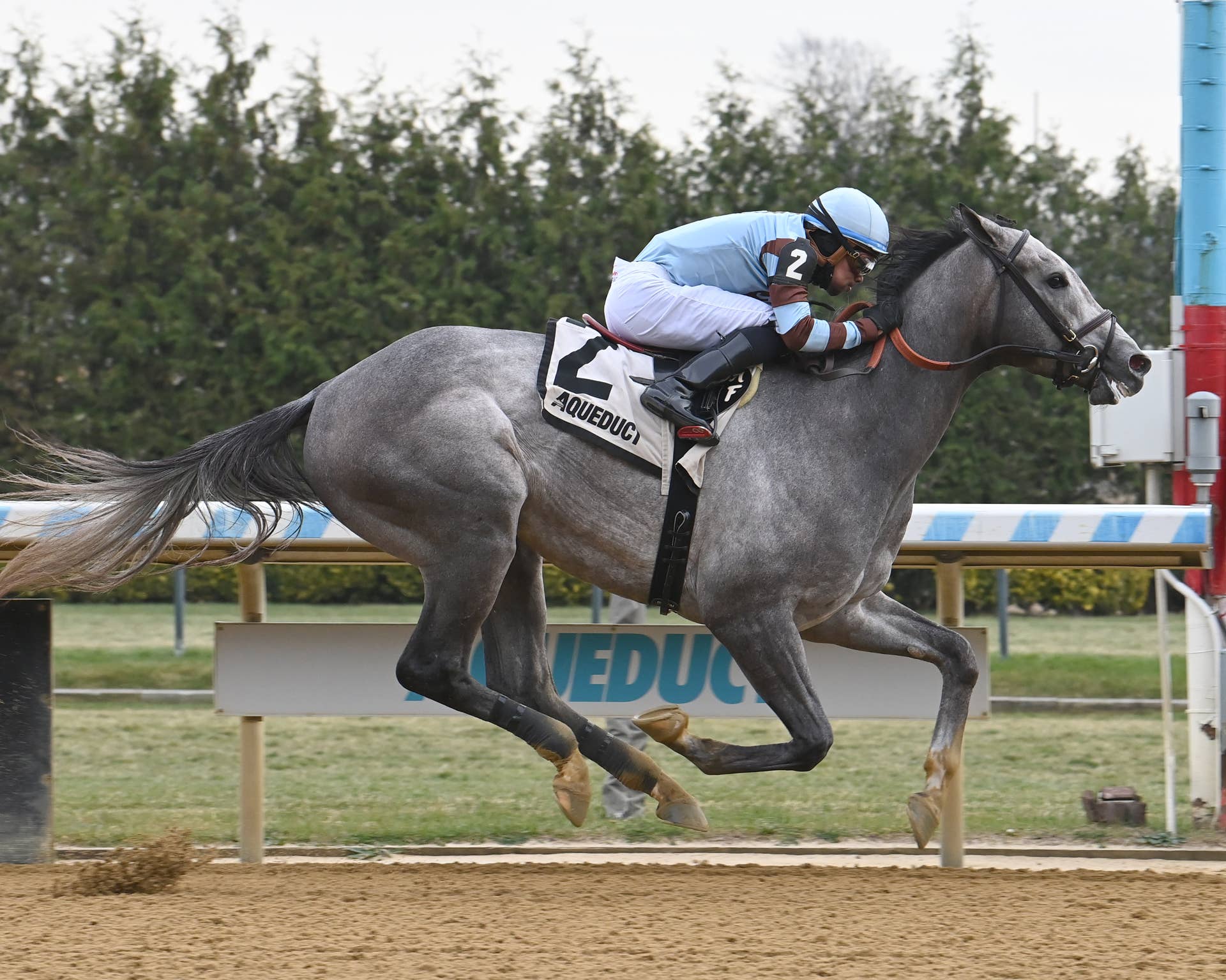 Maiden Winners Schoolyardsuperman, Ottinho Represent Chad Brown Barn In ...