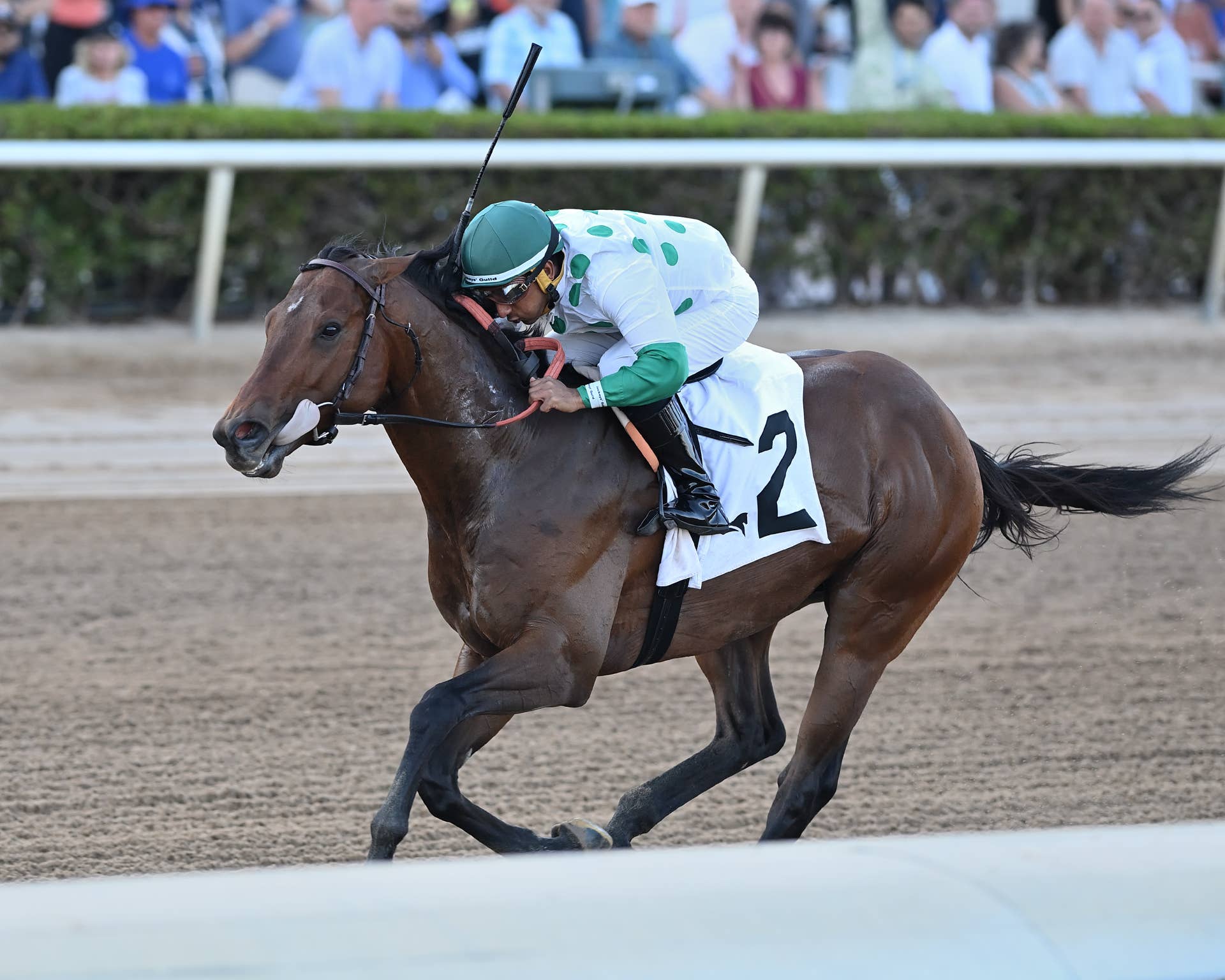 Jack’s Promise Pulls Upset For Dale Romans In Gulfstream Park Sprint ...
