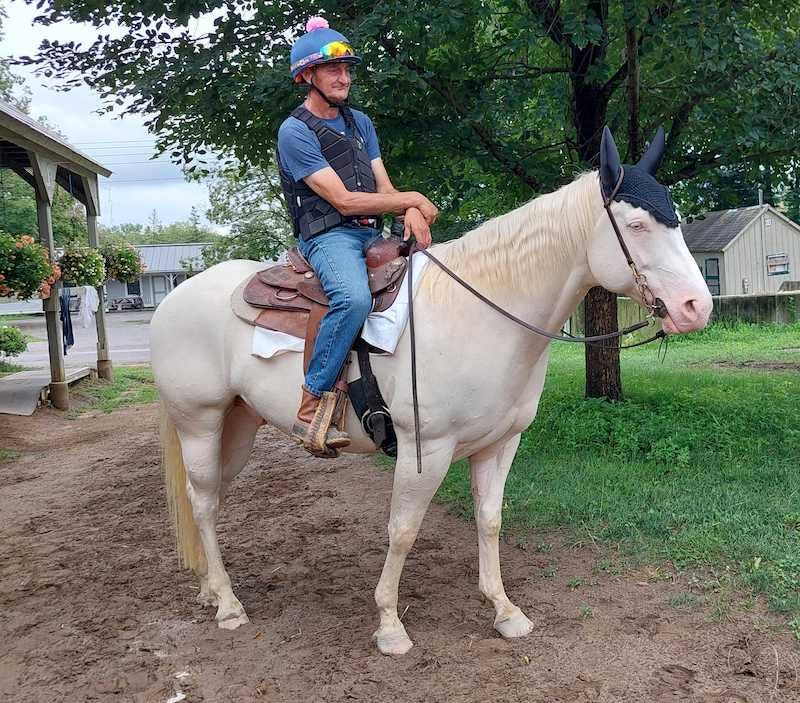 Real Life Unicorn Horse