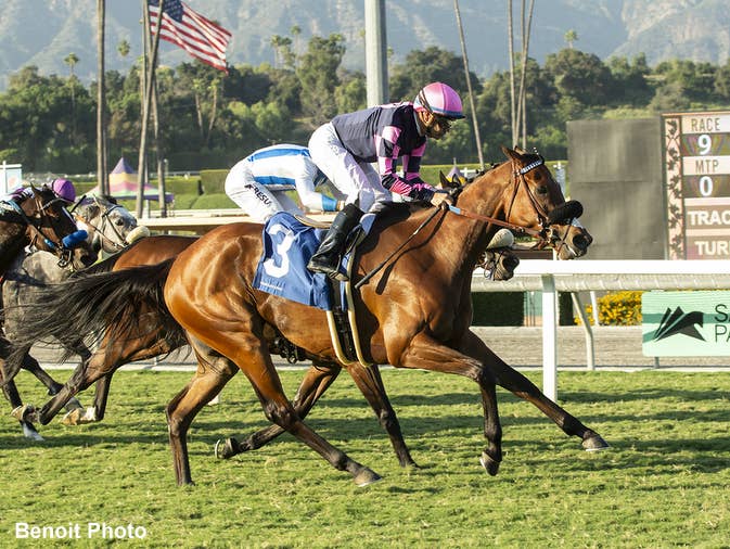 Qatar Racing Acquires Share In Royal Ascot Runner-Up Gabaldon At Inglis ...