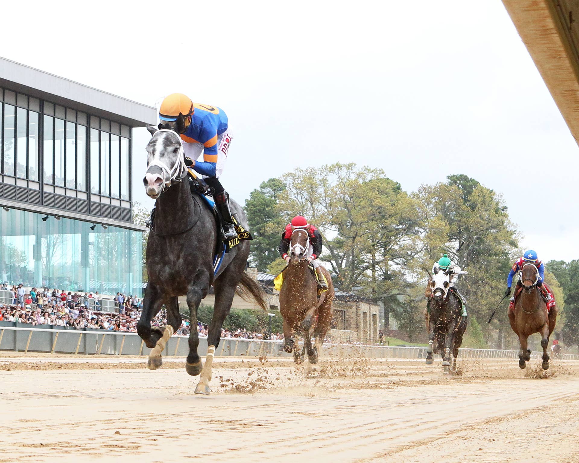Haulin Ice Makes All To Win Oaklawn's Matron, Becomes Top-Earning ...