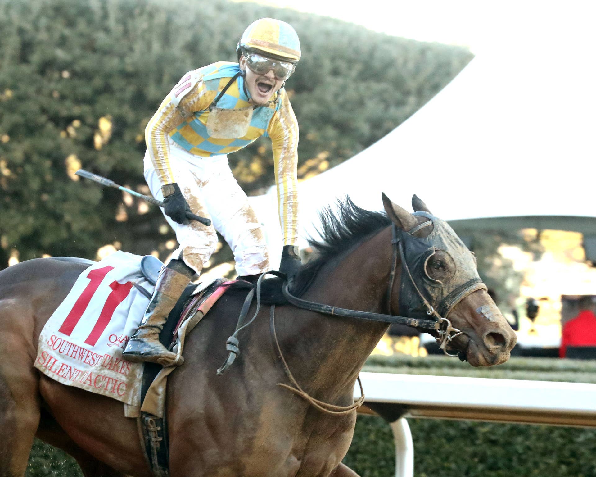Bloodlines Presented By Walmac Farm: Silent Tactic Keeps Bounding Up ...