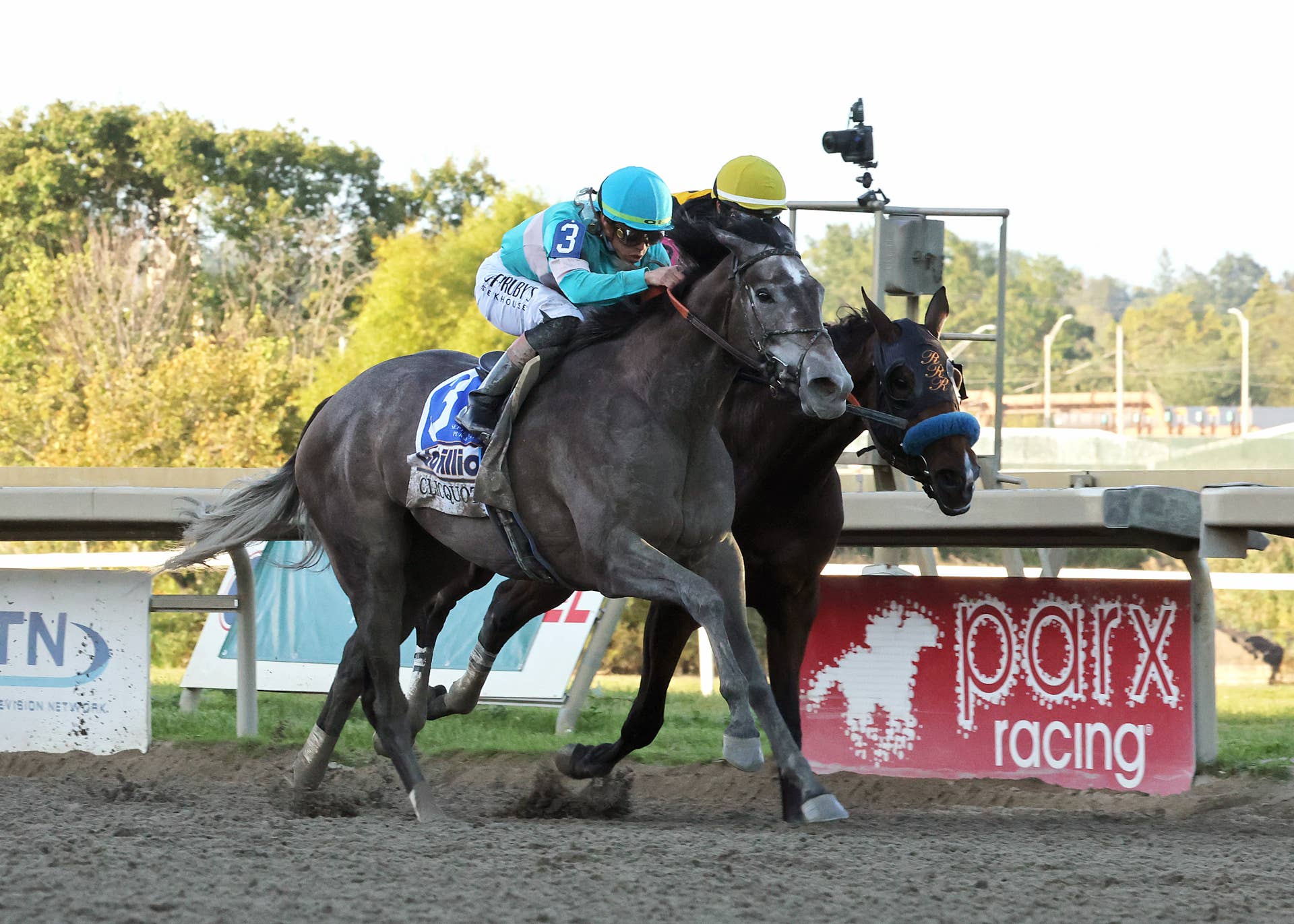 Grade 1 Winner Clicquot Headlines Latest Supplements To Fasig-Tipton ...