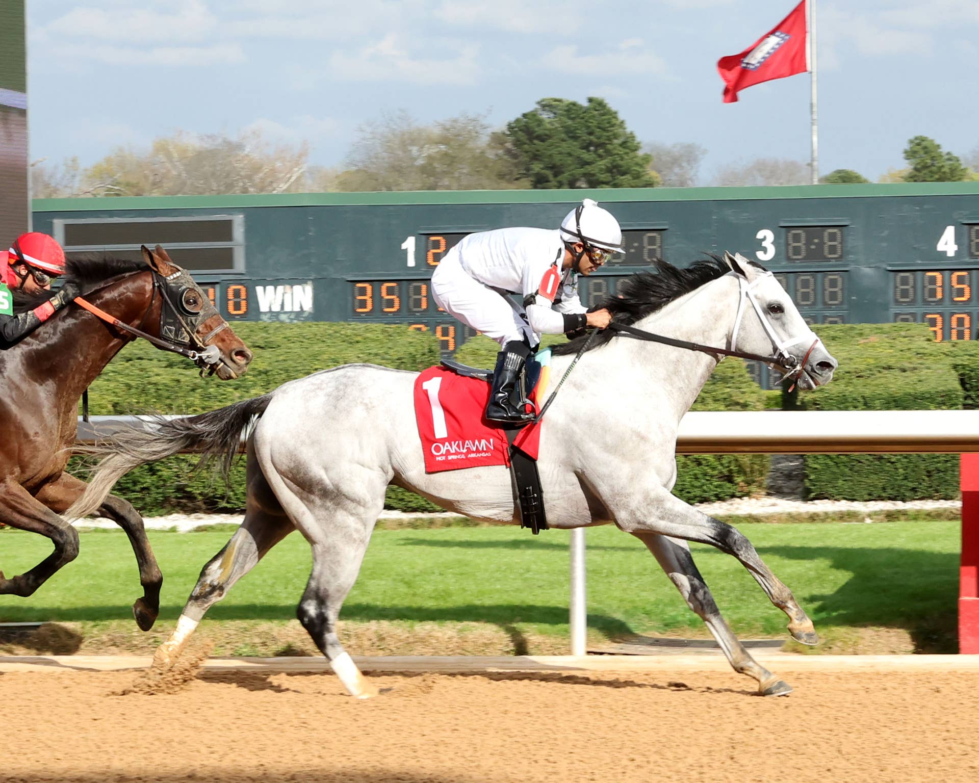 Horse racing opinion and analysis by the Paulick Report - Paulick Report