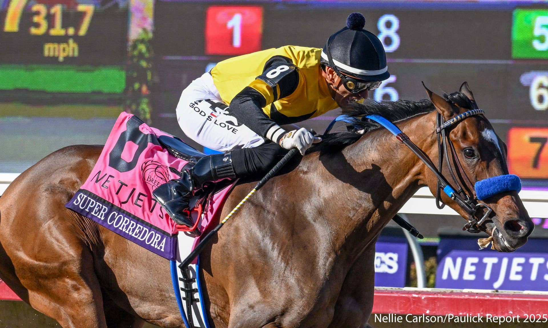 Champion Super Corredora Regroups After Las Virgenes Defeat - Paulick ...