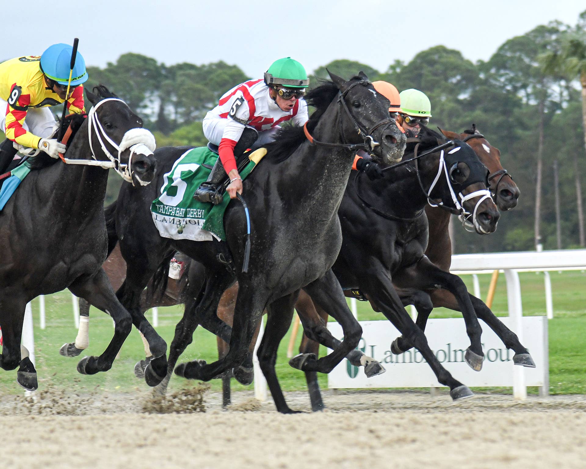 Domestic Product Wins Mad Scramble For Tampa Bay Derby Amidst Tote ...