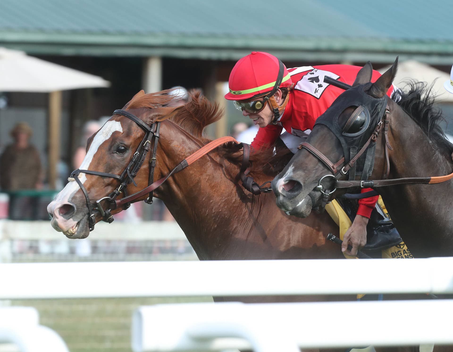 After 'Sneaky Good Races,' Irish Aces Takes Opening-Day Tapit Stakes At ...