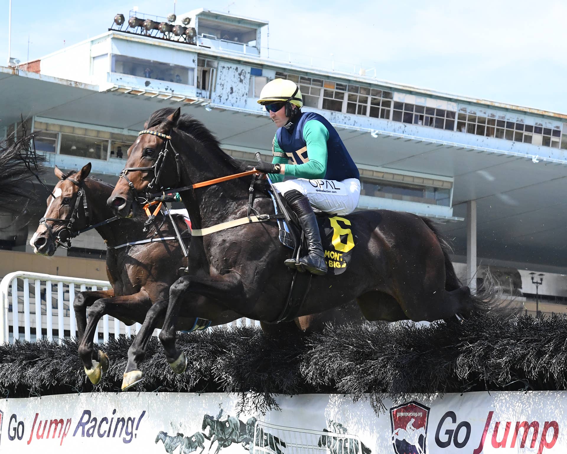 'Put The Race To Bed Easy': Freddy Flintshire Pounces For First Grade 1 ...