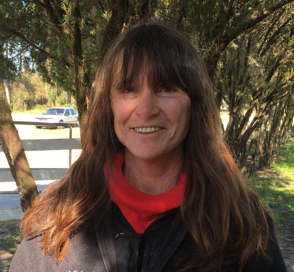 Racetrack Roundup: Kathleen O’Connell Lands Tampa Bay Downs' Trainer Of ...
