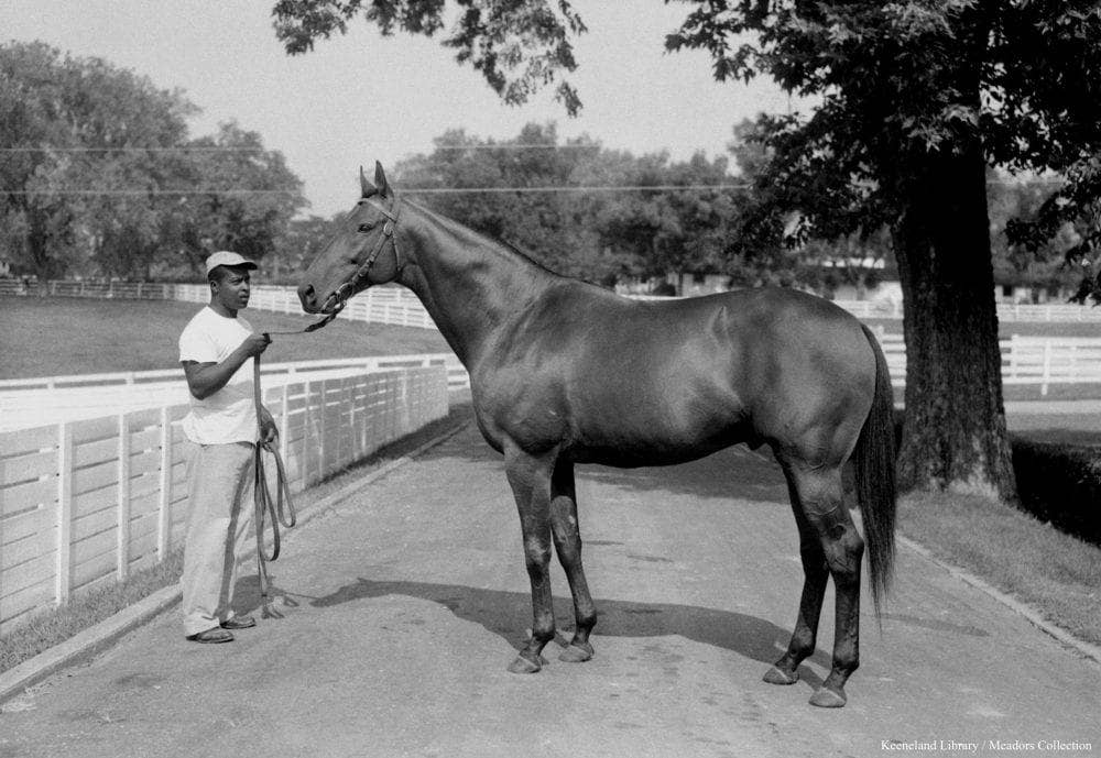 Bloodlines Presented By Walmac Farm: Rabelais And The Unkindest Cut ...