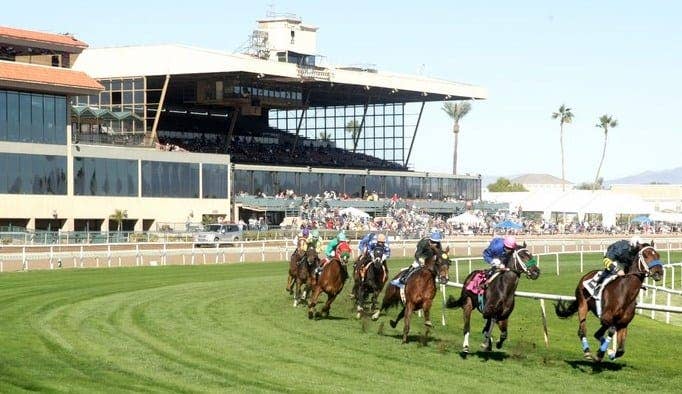 Paulick Report | Latest news and commentary from the horse racing and ...