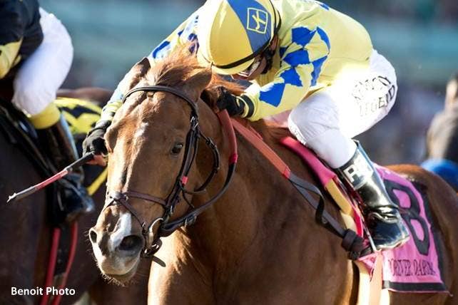 Gold Trophy Dreams: Horse Of The Year Hopeful Forever Young's Dam Was A ...