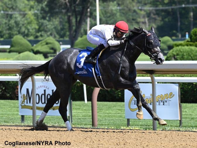 Crazy Mason Takes Aim On Third Straight Aqueduct Win, First Stakes ...