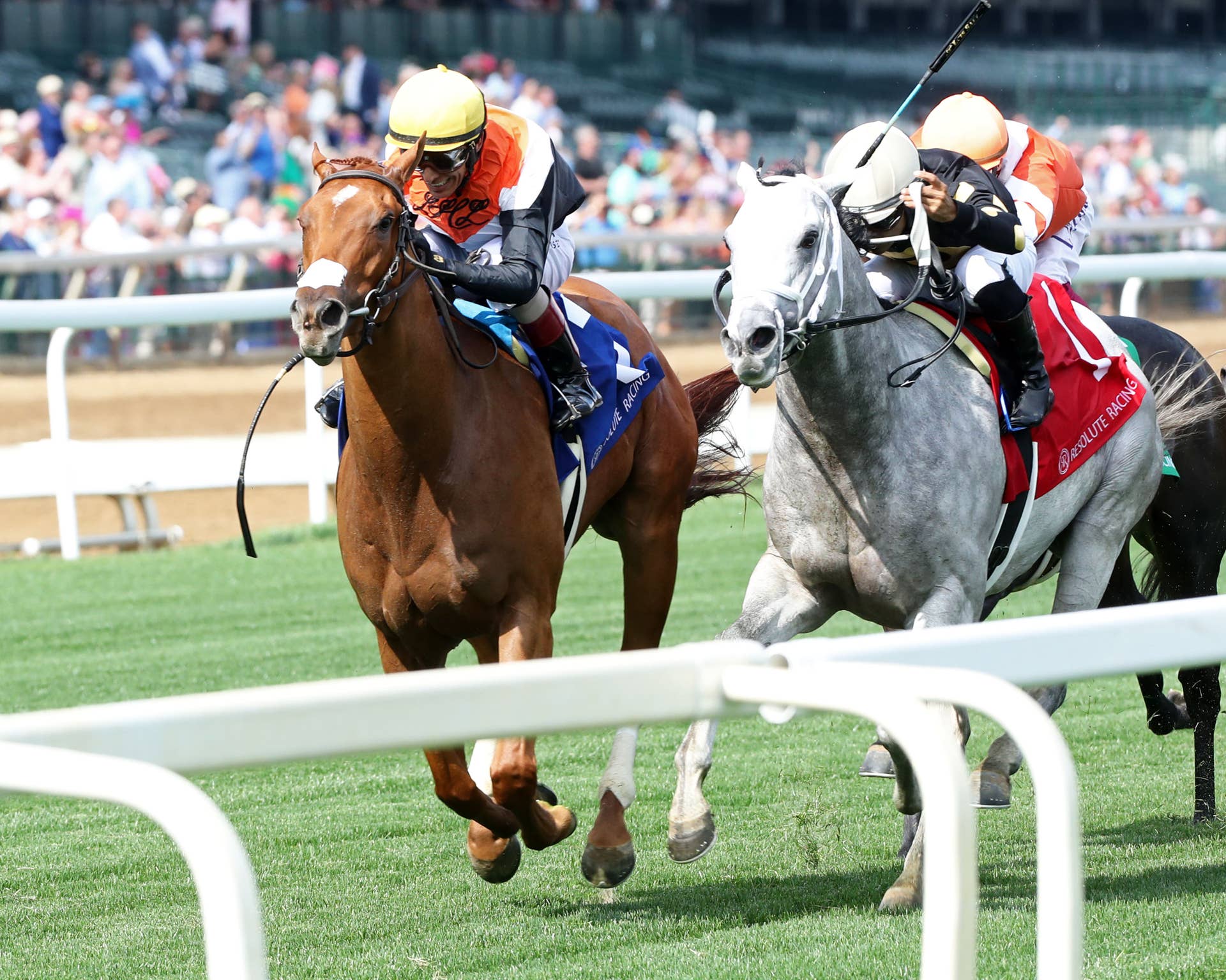 Bridle A Butterfly Rallies From Last To Win William Walker Turf Sprint ...