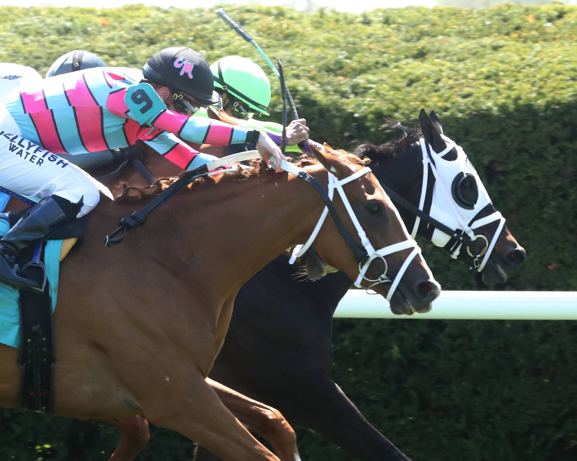 Gutsy Allowance Winner Boss Lady Bailey Seeks Stakes Breakthrough In ...