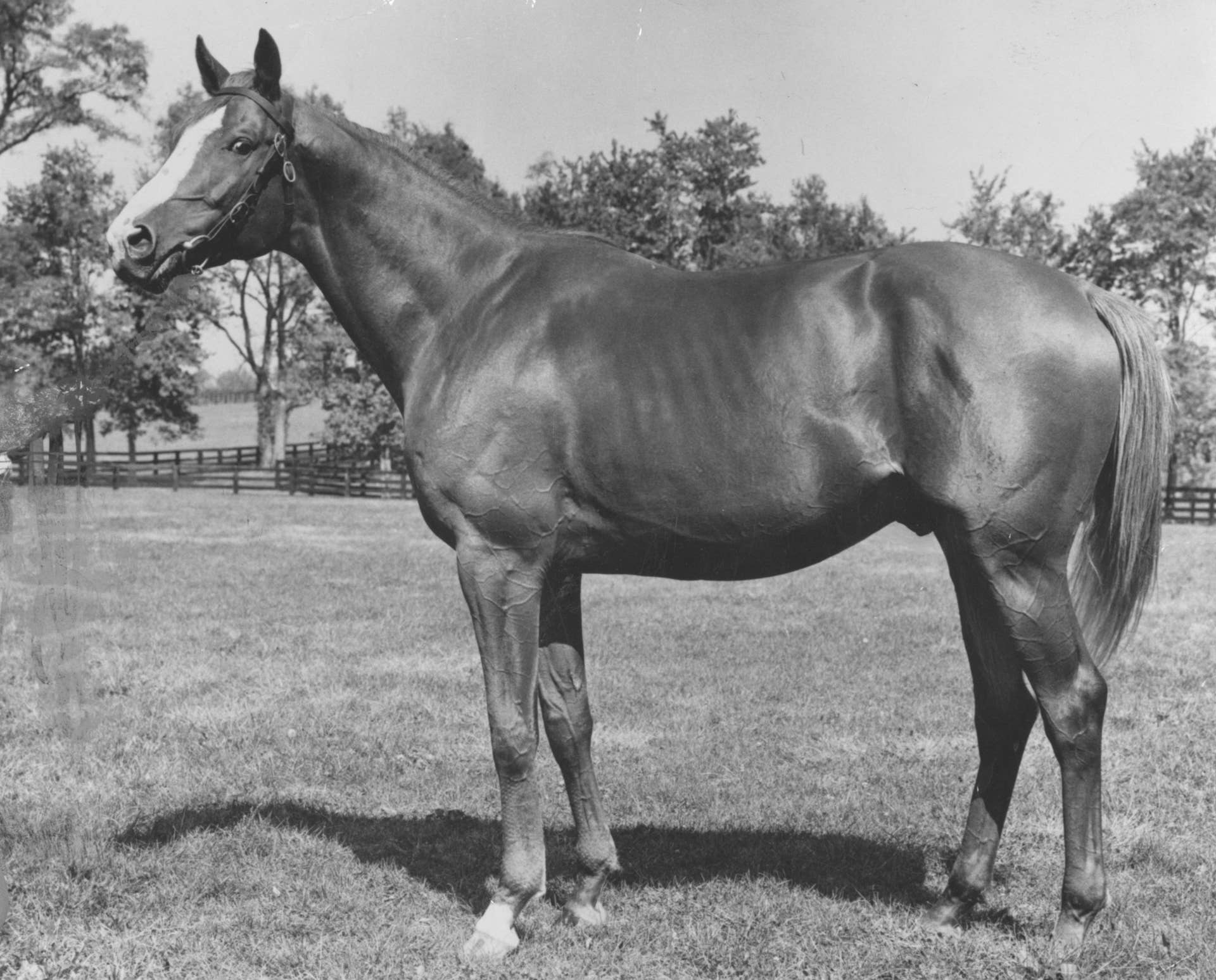 Lest We Forget: Stage Door Johnny 'Green As A May Apple' When He Won ...