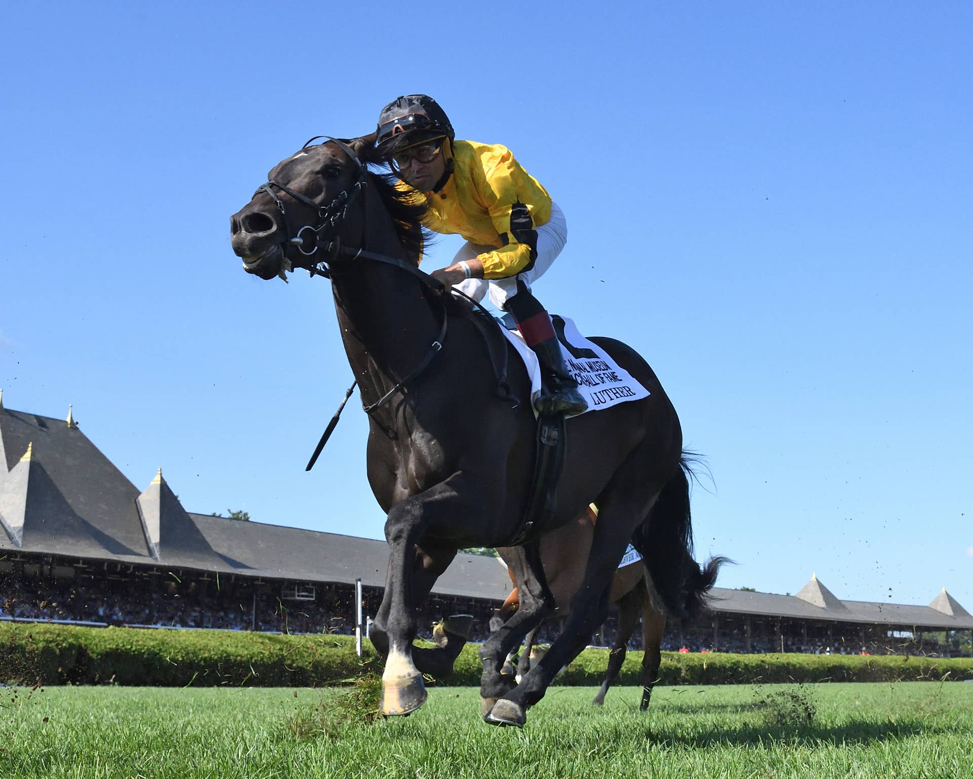 ‘My Fella Got Carved Up’: Luther Awarded Hall Of Fame Stakes After ...