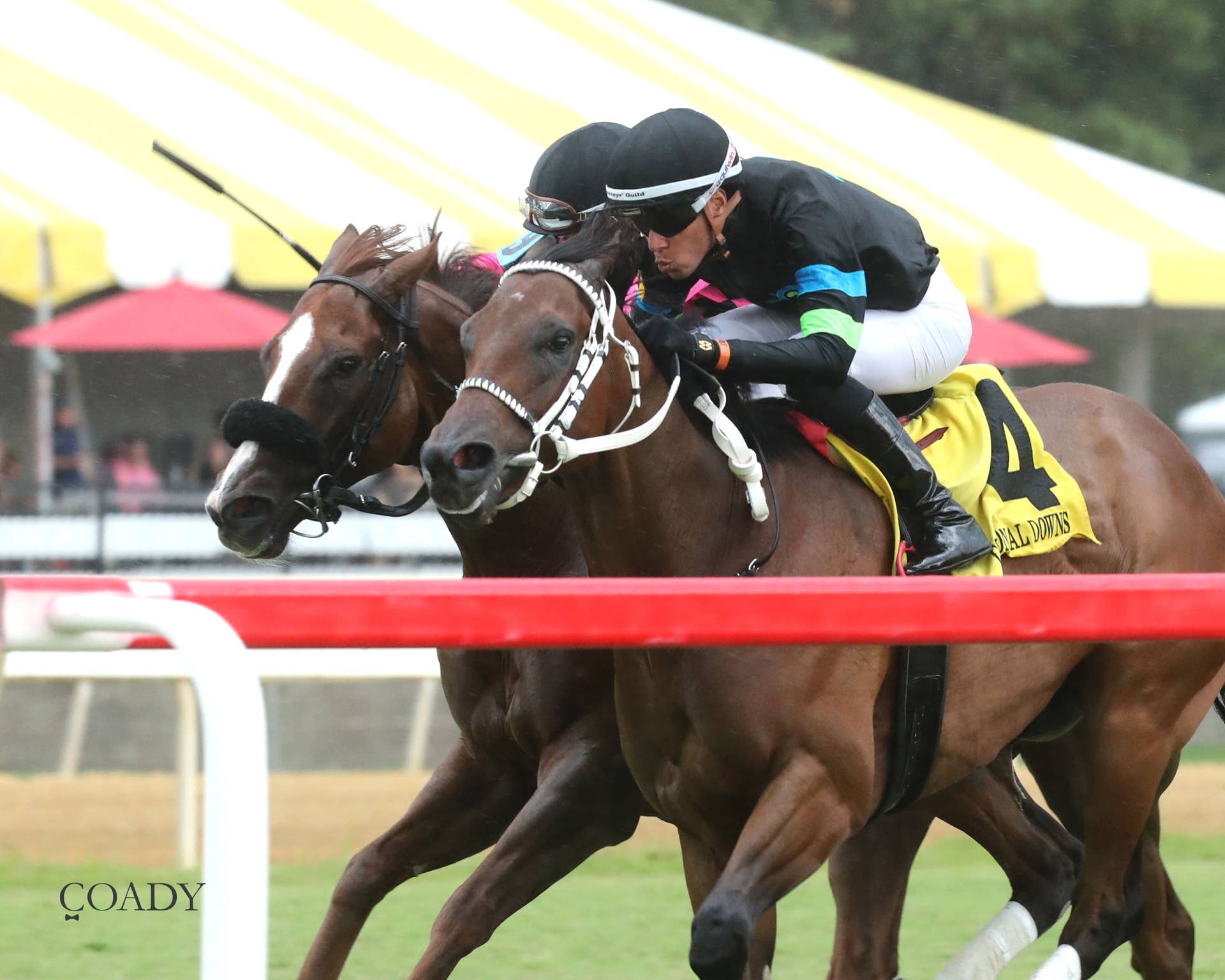 Colonial Downs: Doncho, Safe Trip Home Among Stakes Winners On Old ...