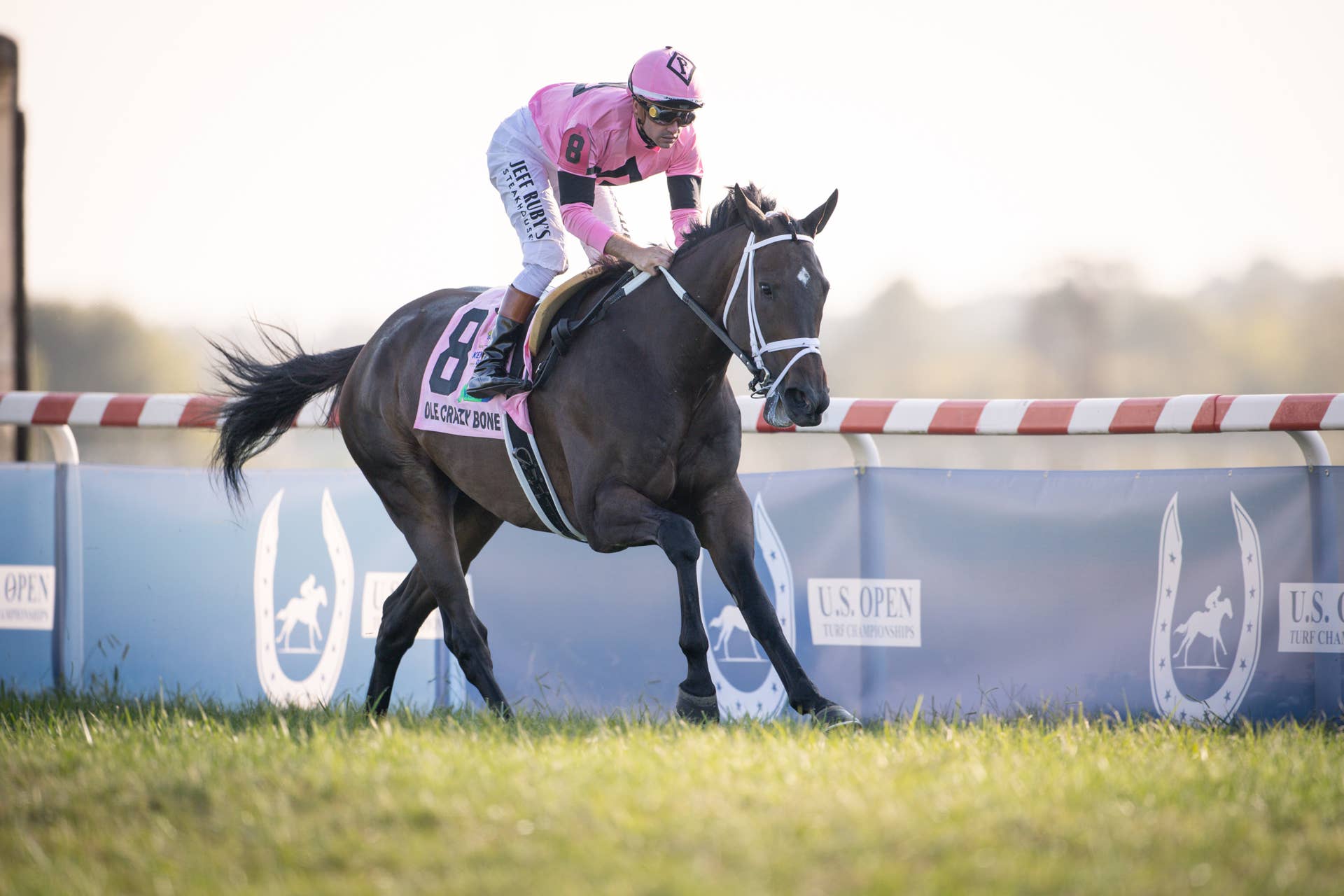 Former Claimer Ole Crazy Bone Takes 'Win & You're In' Kentucky Turf Cup ...