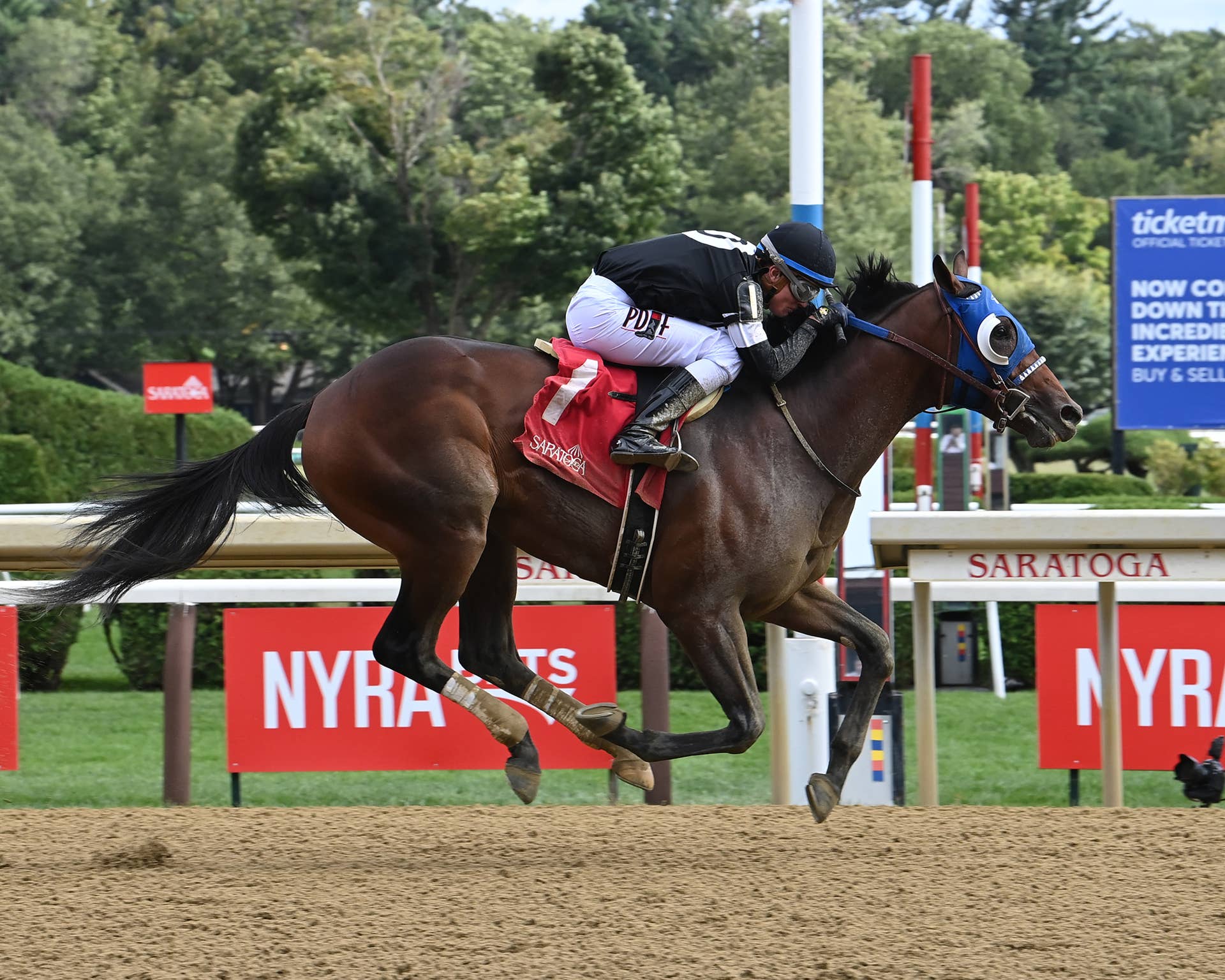 Ken McPeek's Champagne Entrant Universe 'Looks The Part' - Paulick Report