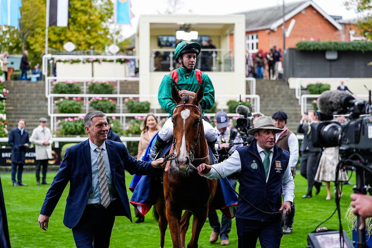 'A Beautiful Horse Race To Watch': Calandagan Too Tough For Ombudsman ...