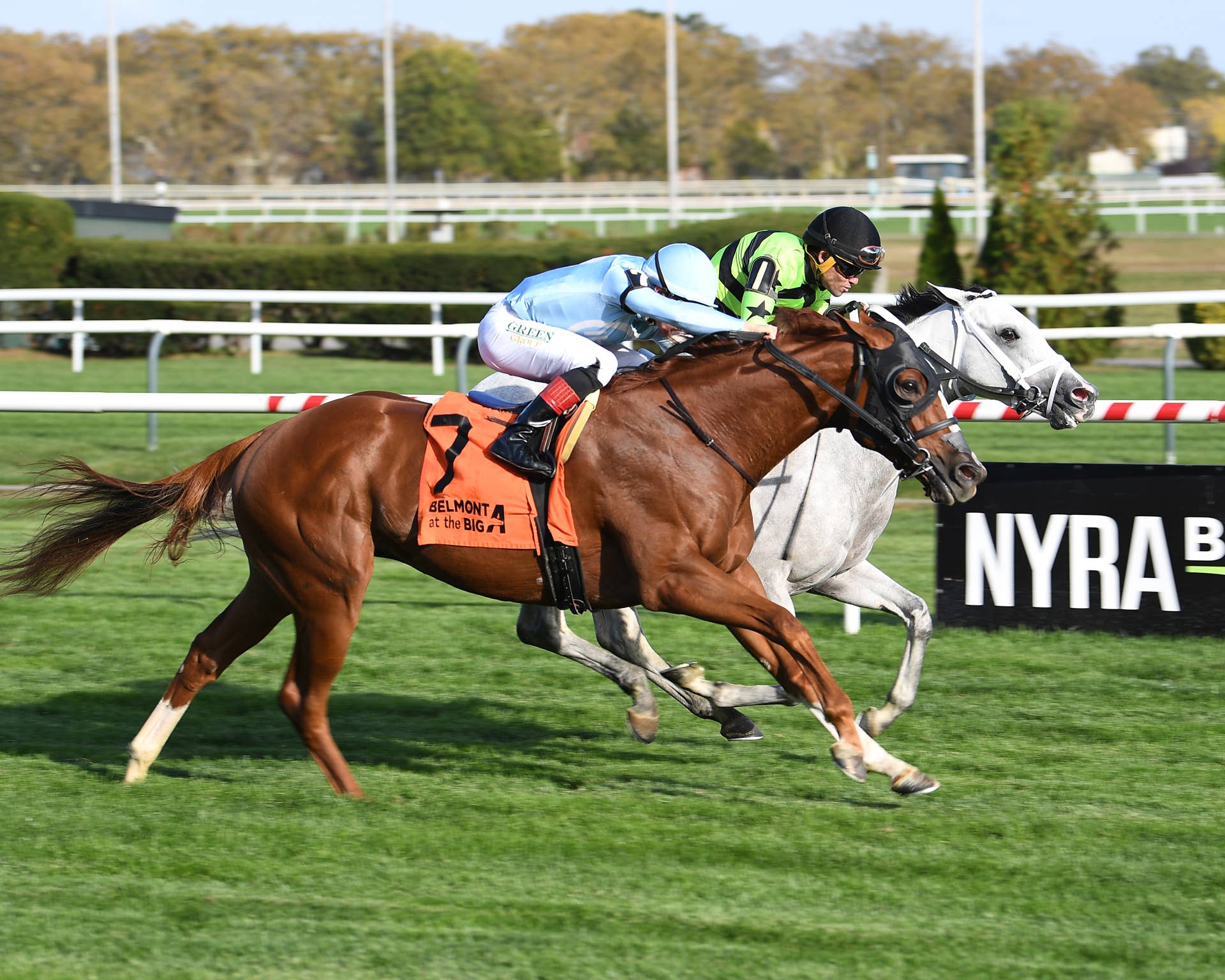 Out On Bail Takes Carle Place By Slimmest Of Margins - Paulick Report