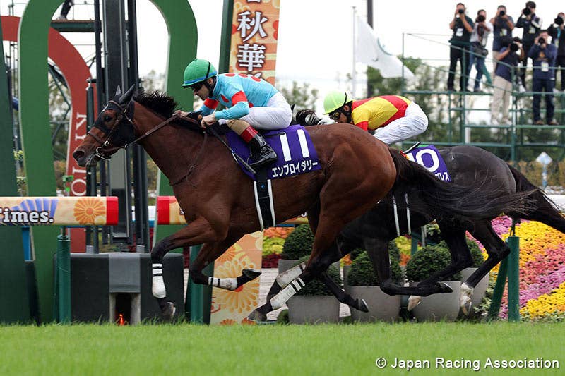 Embroidery Wins Shuka Sho For Classic Double In Japan - Paulick Report
