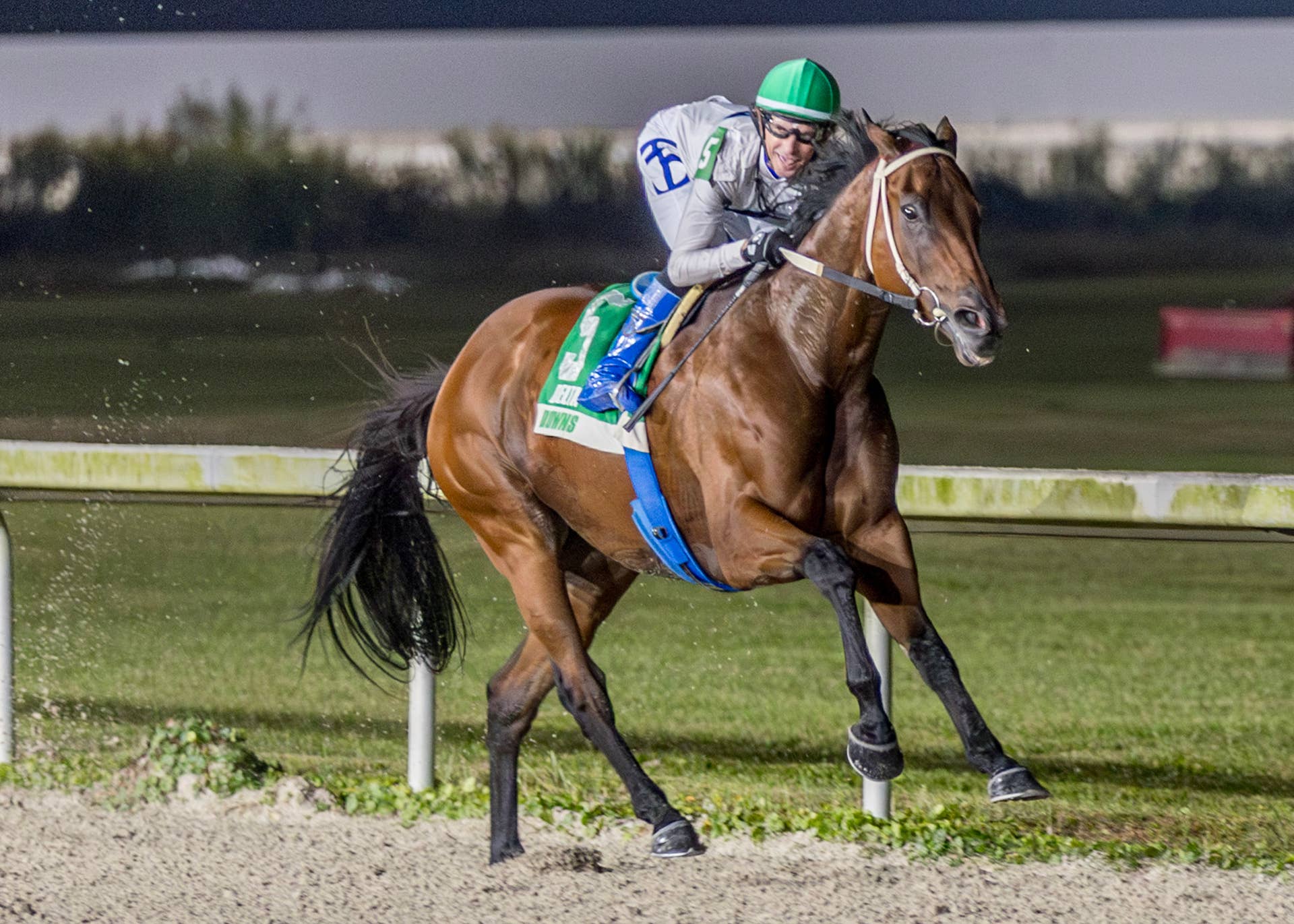 Touchuponastar Overwhelms Delta Mile Rivals In Near-Track Record Time ...