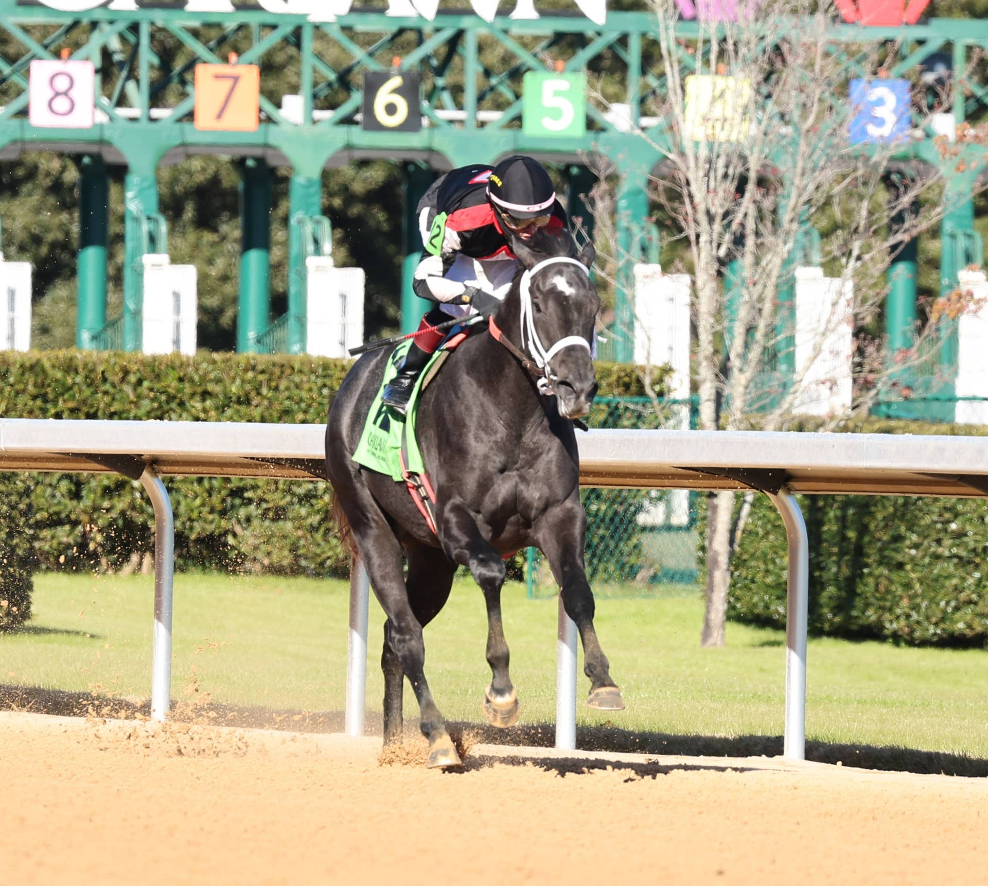 The Best Deal He Never Made: D'Code Giving Connections 'A Little Derby ...