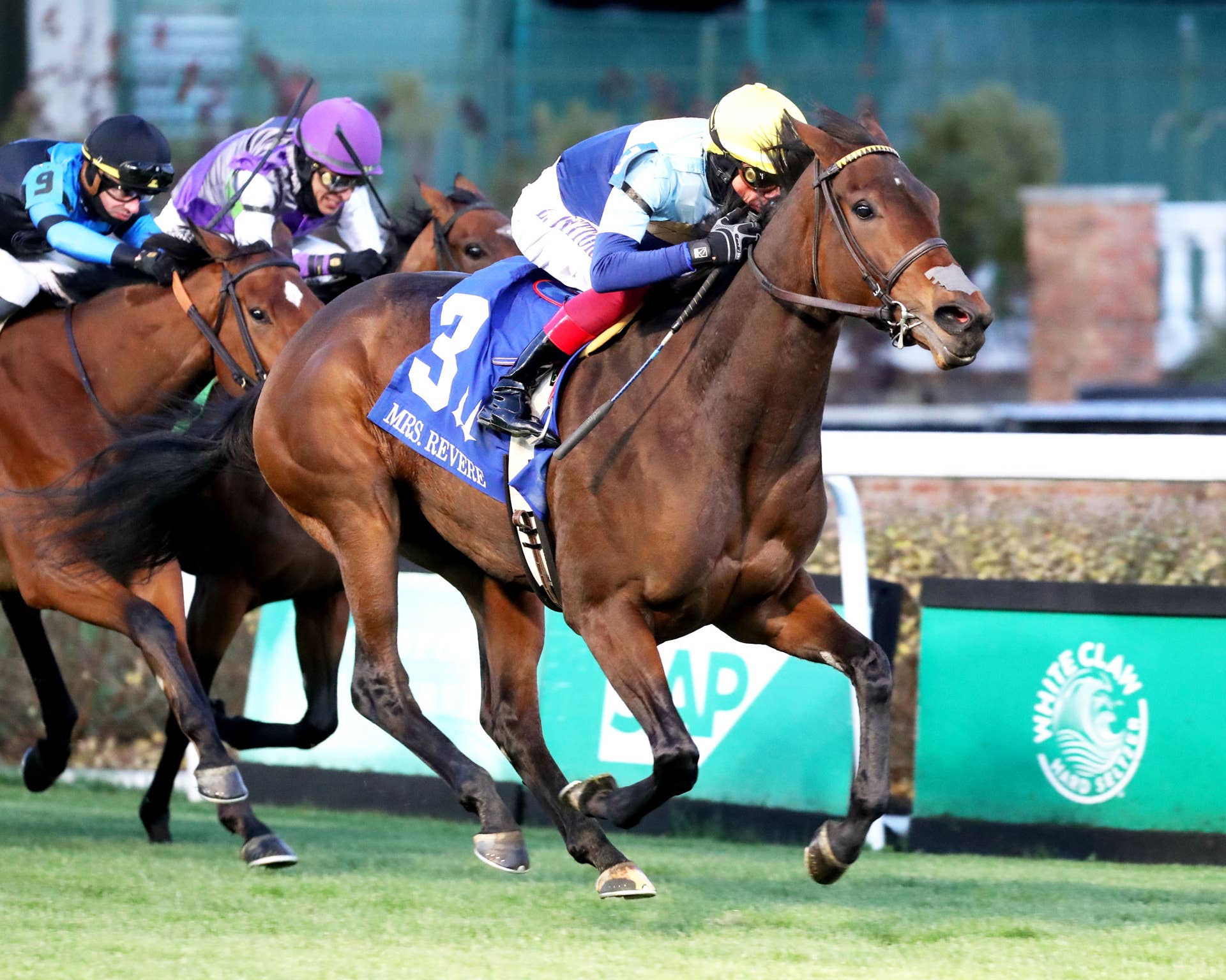 Grade 2 Winner Kehoe Beach Returns From Layoff In Wishing Well ...