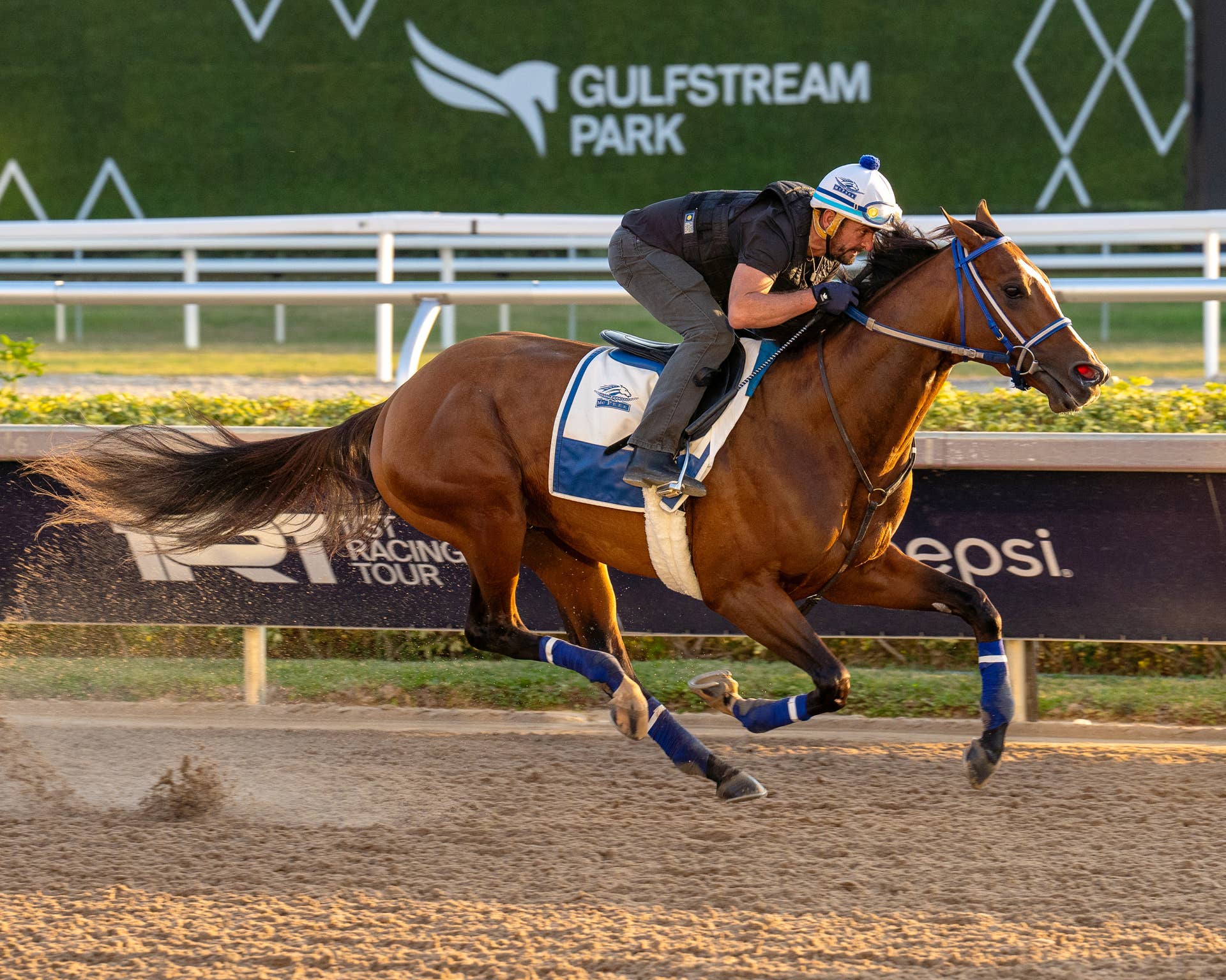 Kentucky Derby Winner Mystik Dan Begins Year In Pegasus World Cup ...