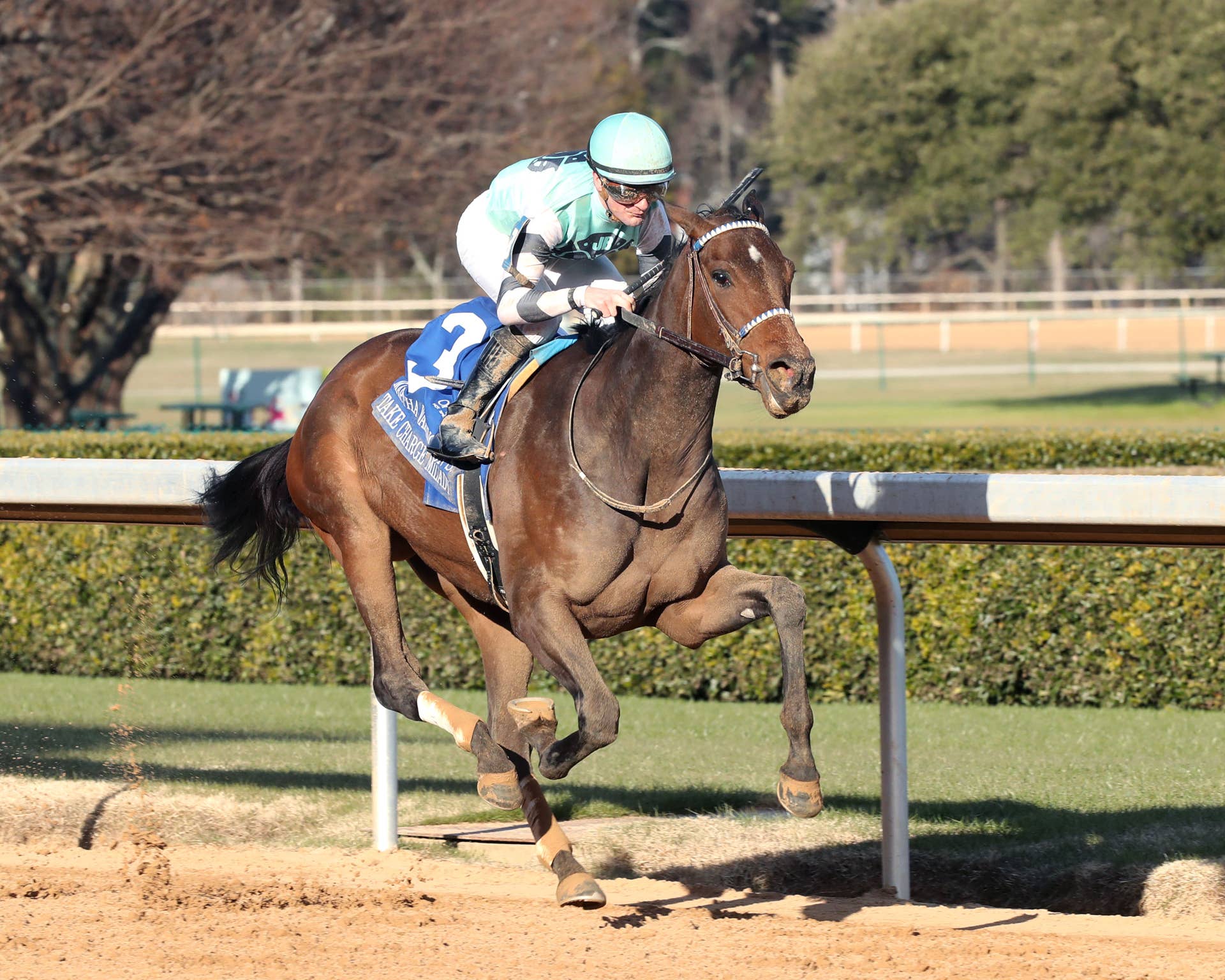 Foot Issue Could Force Take Charge Milady From Kentucky Oaks - Paulick ...