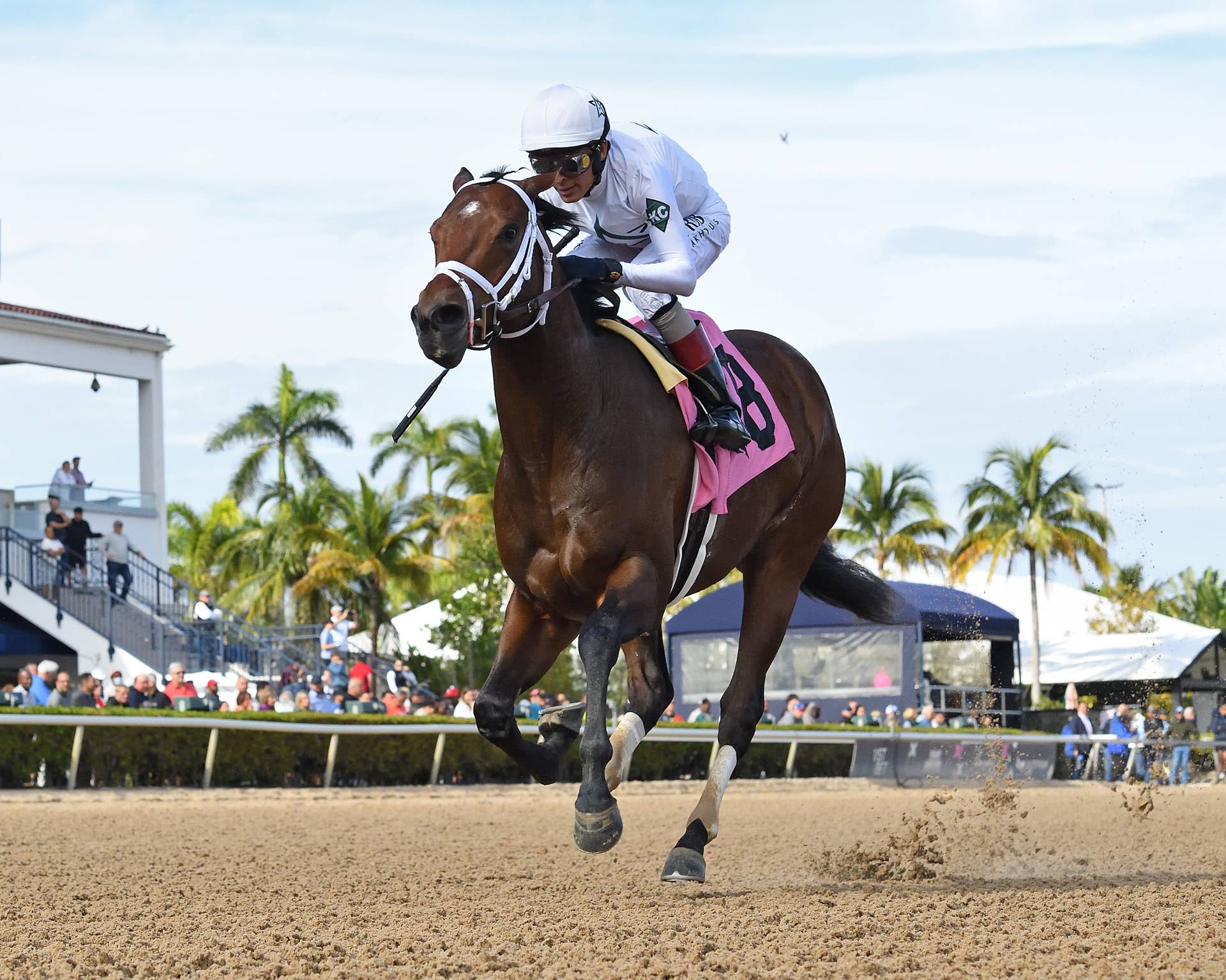 Todd Pletcher 'Weighing Options' For Undefeated 3-Year-Old River Thames ...