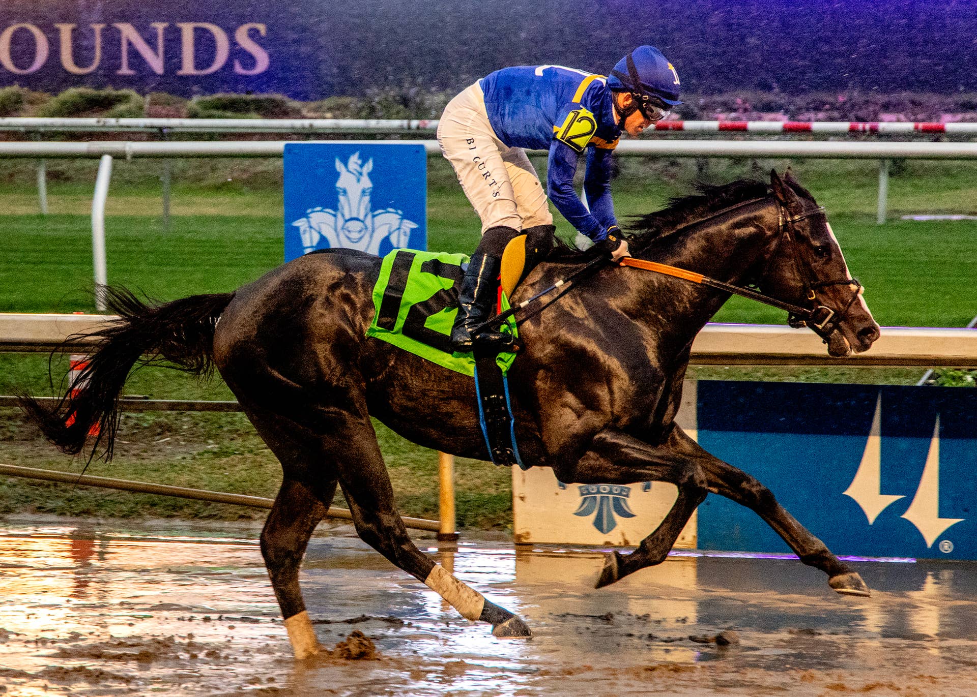 Brendan Walsh Tries To Get Back On The Derby Trail In Lecomte - Paulick ...
