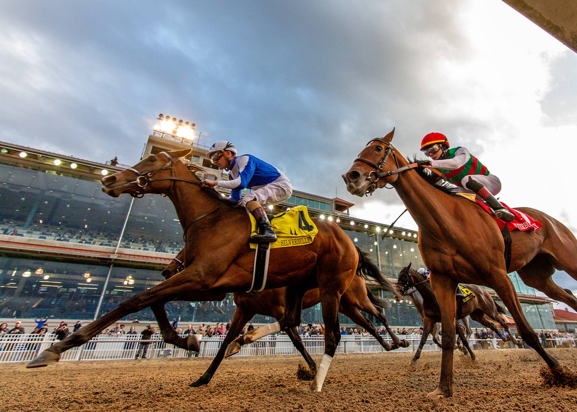 Bloodlines Presented By Walmac Farm: Taken By The Wind Made Sire Rock ...