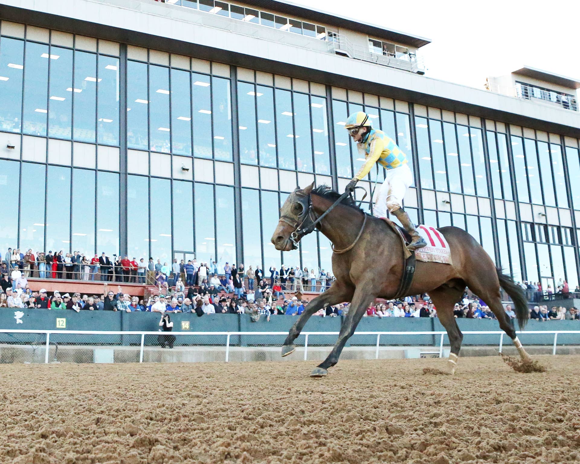 Kentucky Derby Leaderboard: Silent Tactic, Renegade Share Top Spot ...