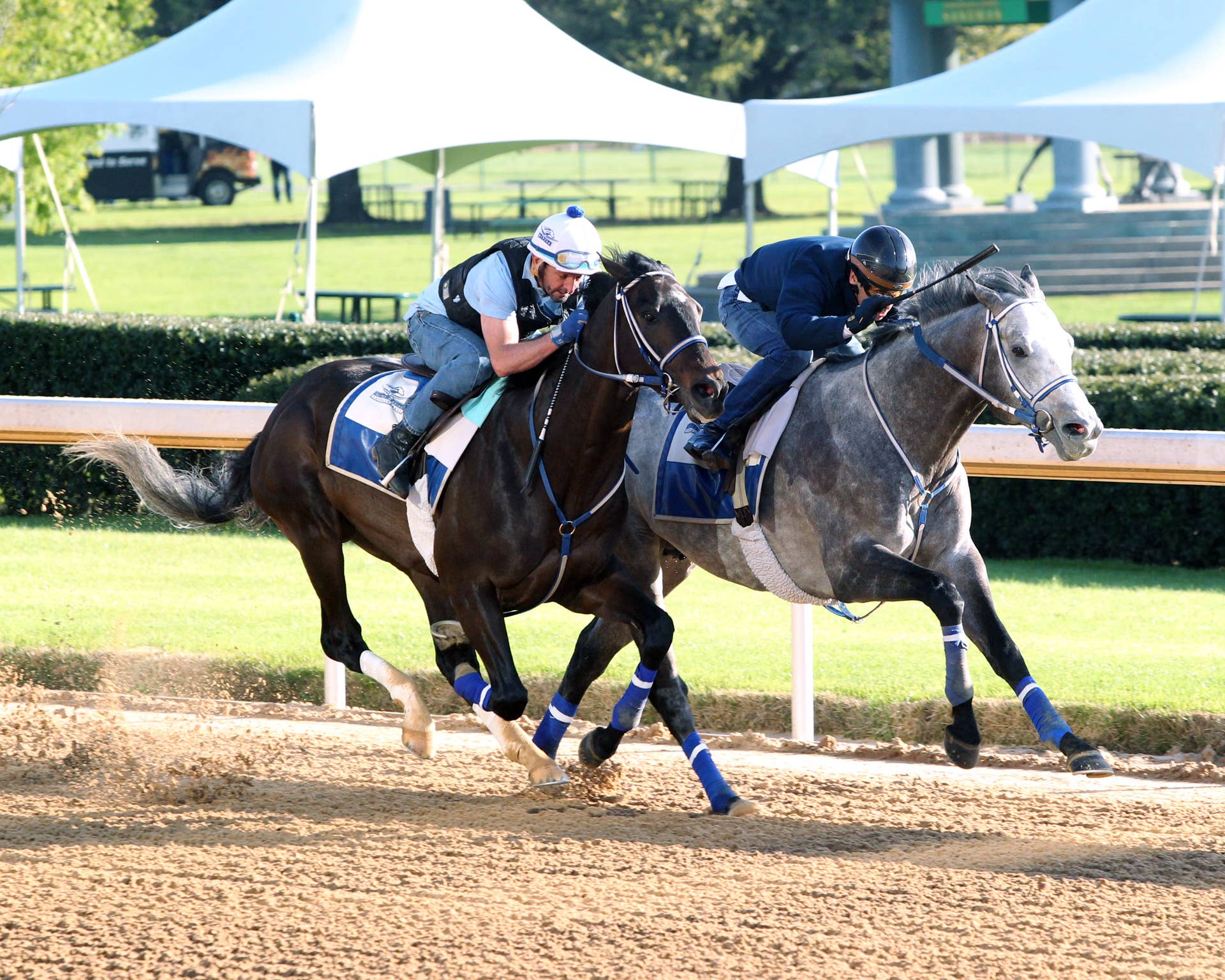 Blackout Time Fires Bullet Work Ahead Of Arkansas Derby - Paulick Report