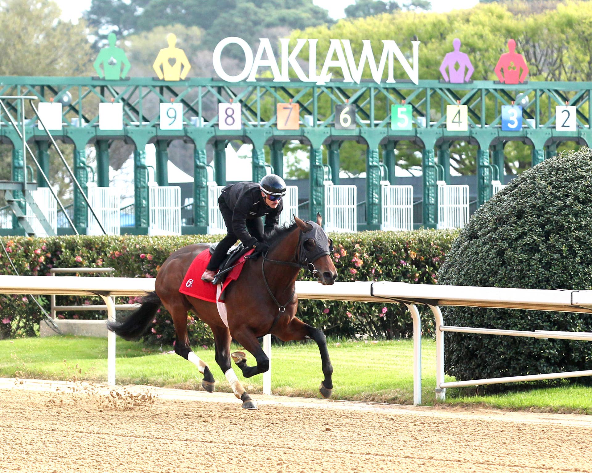 Silent Tactic 'Looked Phenomenal' In Final Arkansas Derby Breeze ...