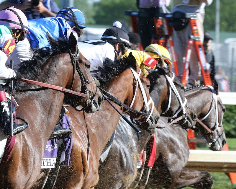 'Two Bay Fillies That Look Exactly The Same': Trainer Apologizes After ...