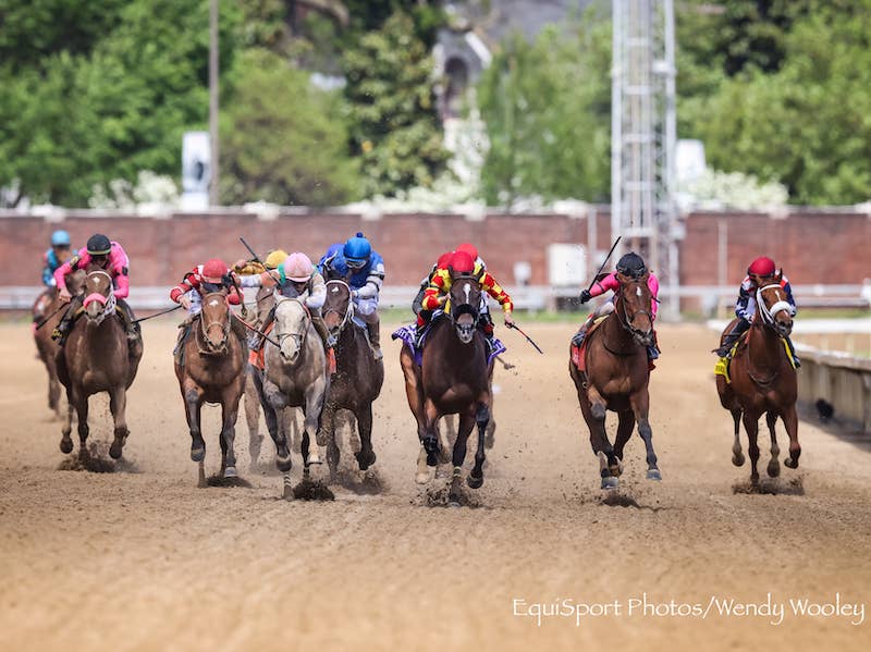 Obligatory Flies Late To Snatch Eight Belles Victory From ...
