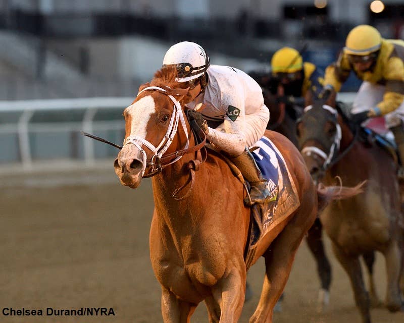 Grade 1 Winner Americanrevolution Retired, To Stand At Rockridge Stud ...