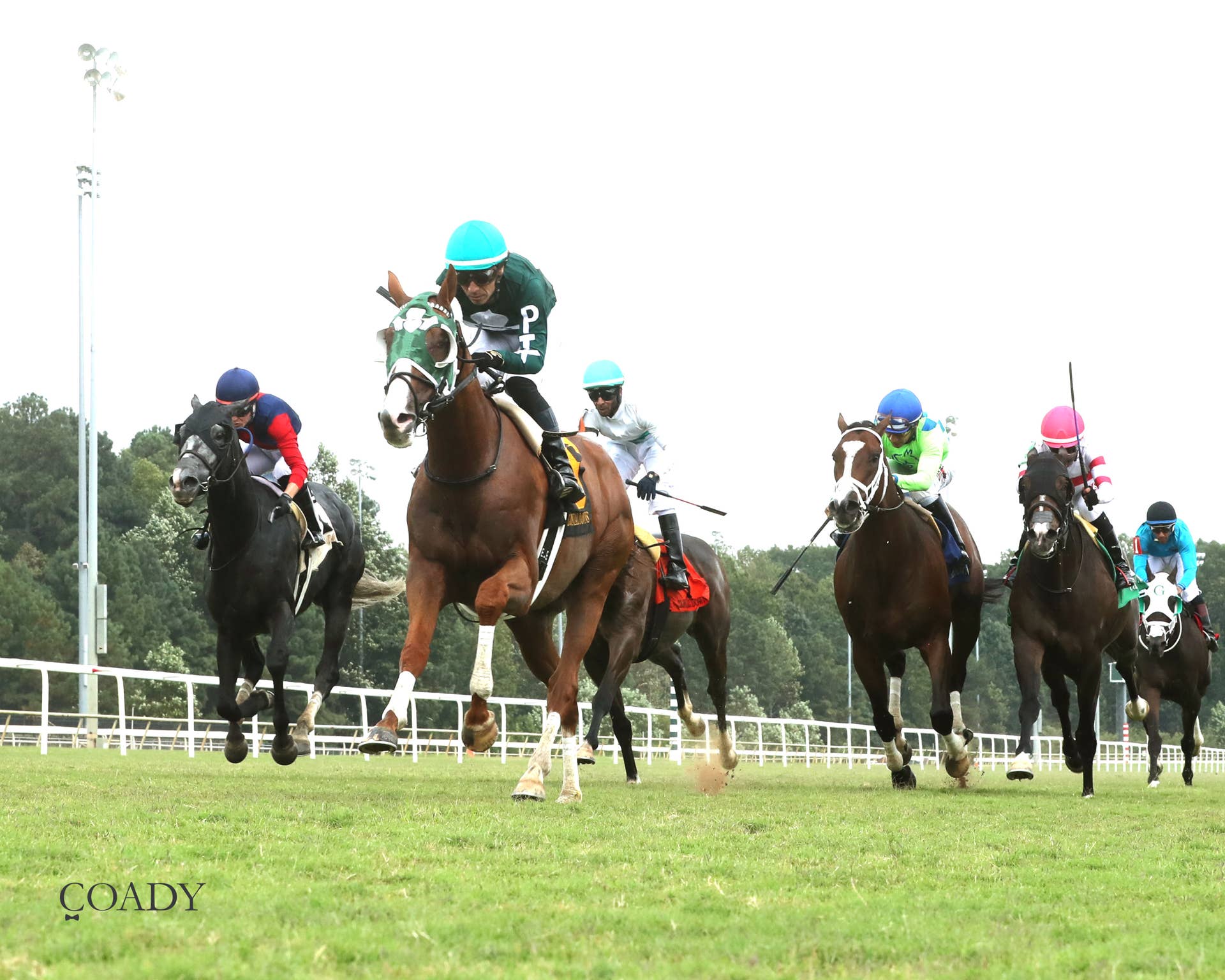 Colonial Downs: Doncho, Safe Trip Home Among Stakes Winners On Old ...