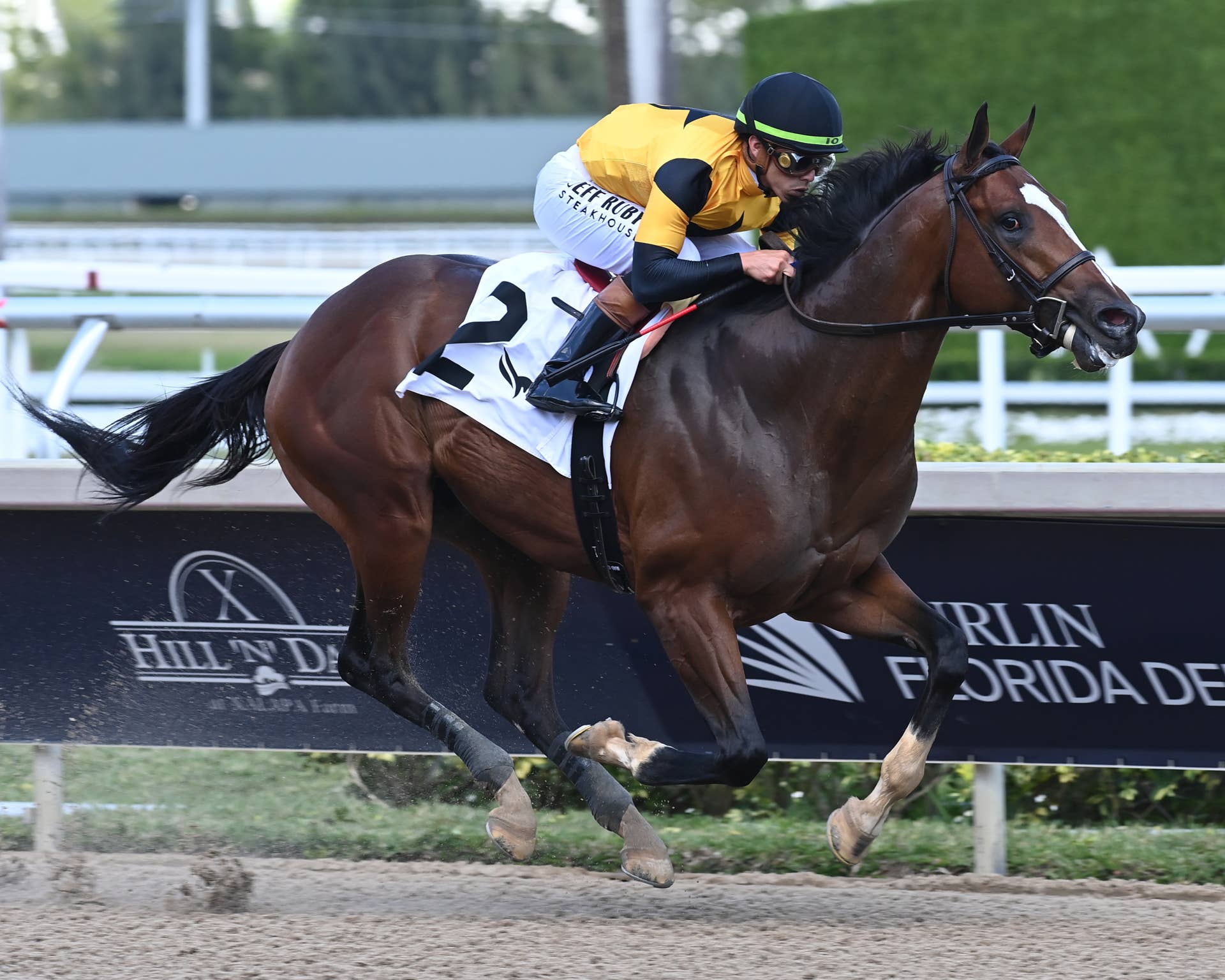 Sorcerer's Silver: Vanned Off On Derby Undercard, Colt 'Doing Very Well ...