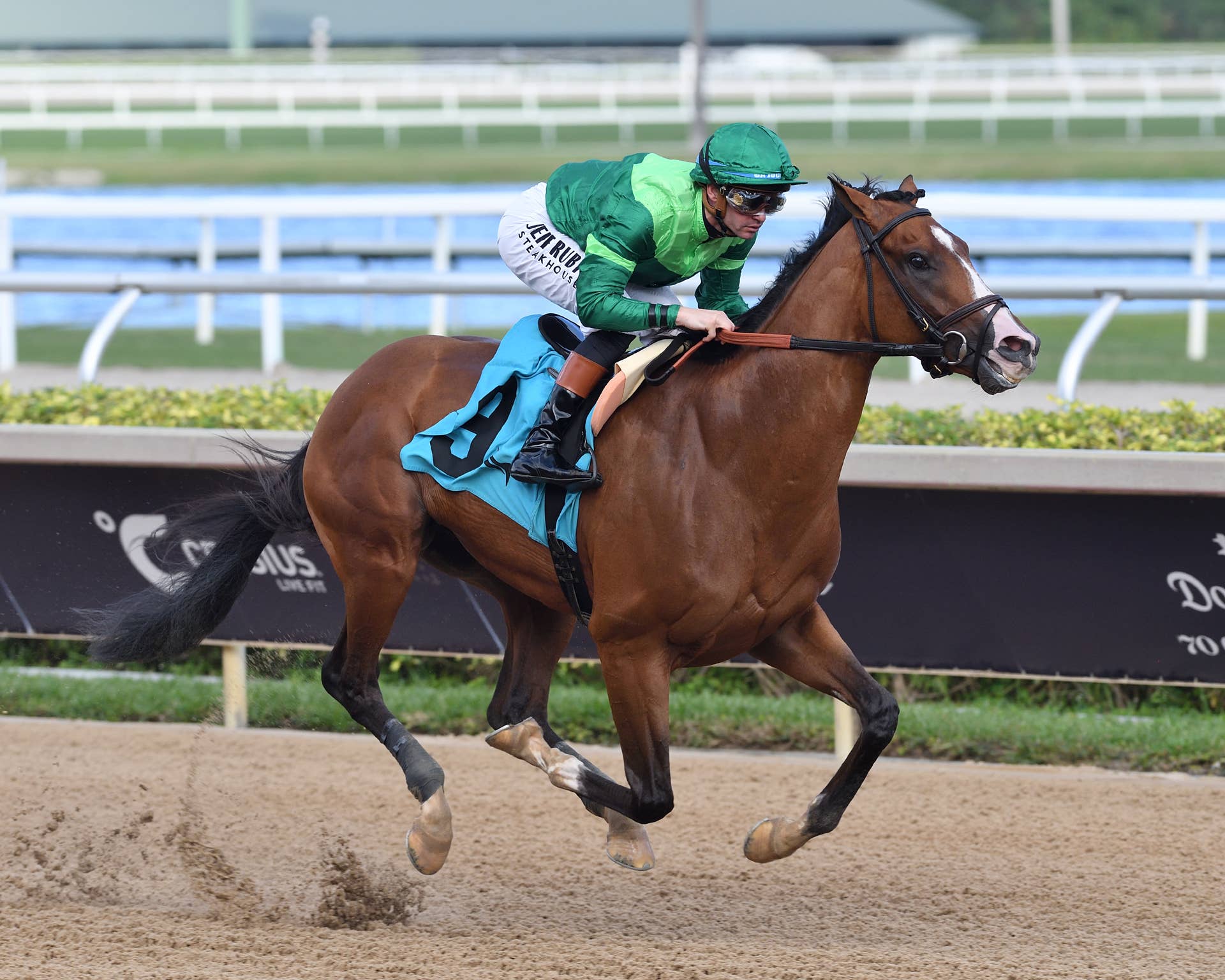 The Derby Bubble Presented By Kentucky-Breds: On The Road Again In 2026 ...