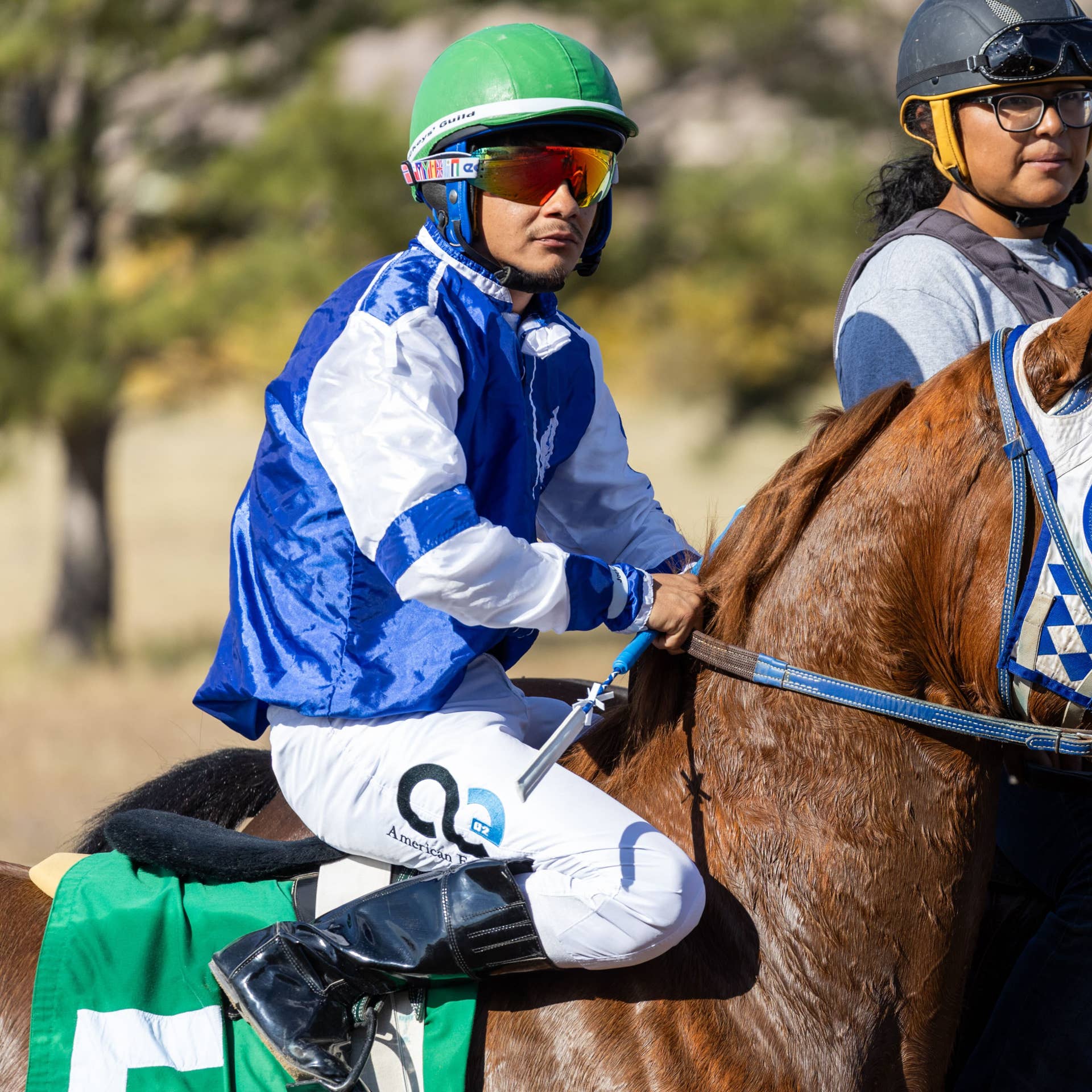Comeback On Hold: Chantal Sutherland Suspended For Careless Riding At ...