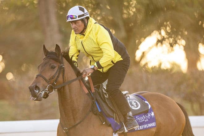 Equibase Set To Announce New Rating System As Alternative To Current ...