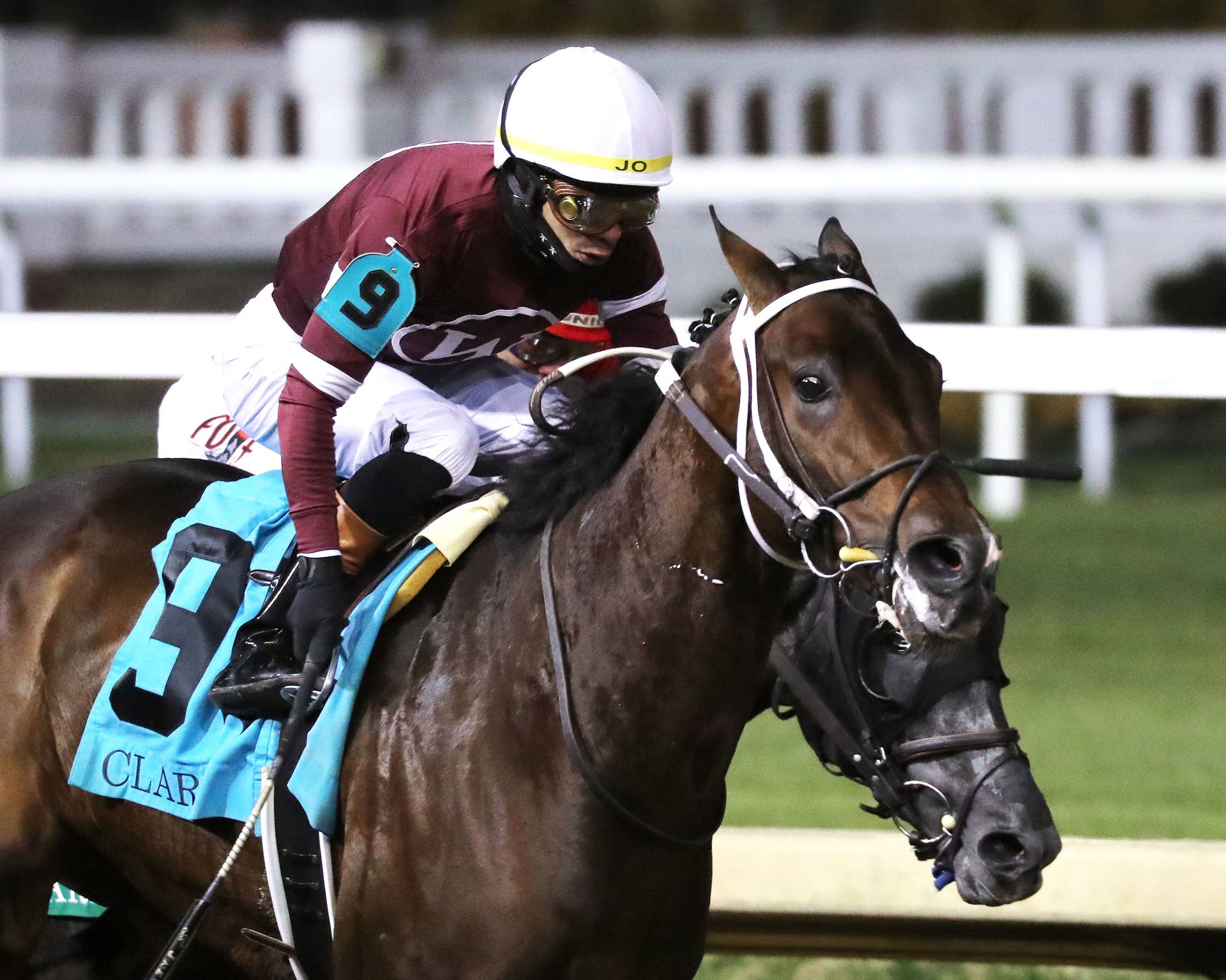 Illinois Racing Board Suspends Hawthorne's Harness Racing License ...