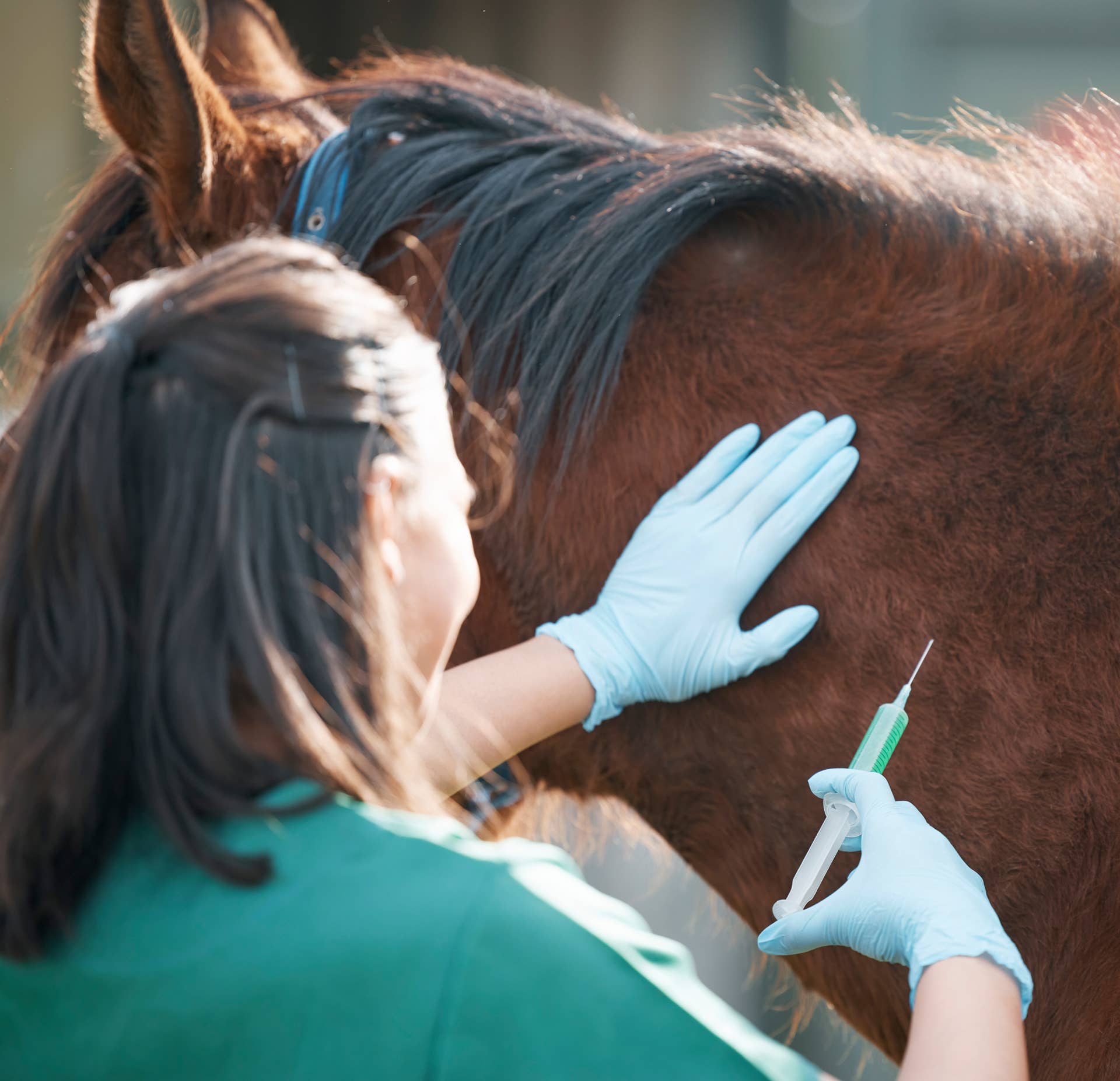 Del Mar Summer: For Andie Biancone, The Horses Are Everything - Paulick ...