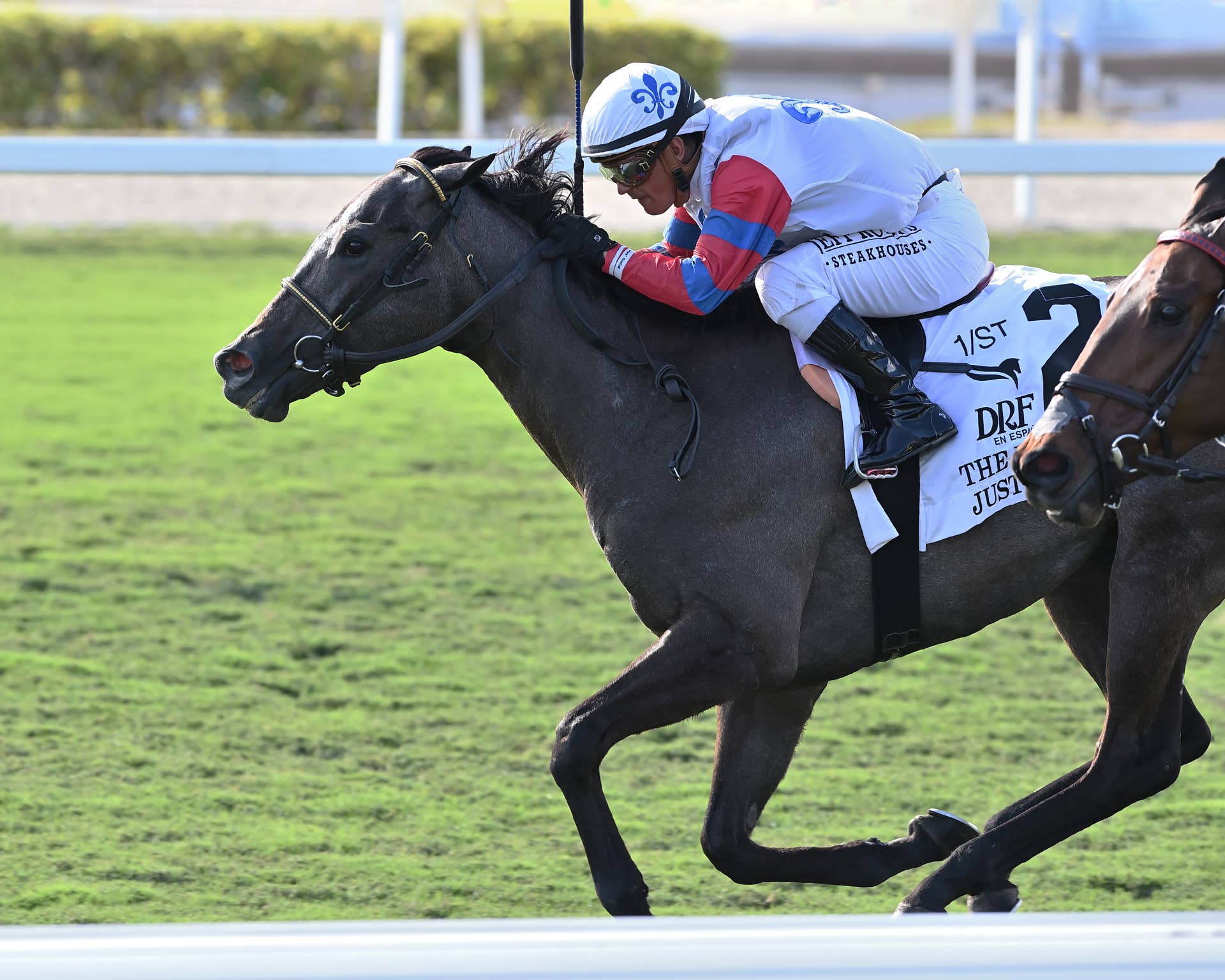 Mark Casse Eyes Rebel Stakes For Silent Tactic; KY Oaks Preps For ...